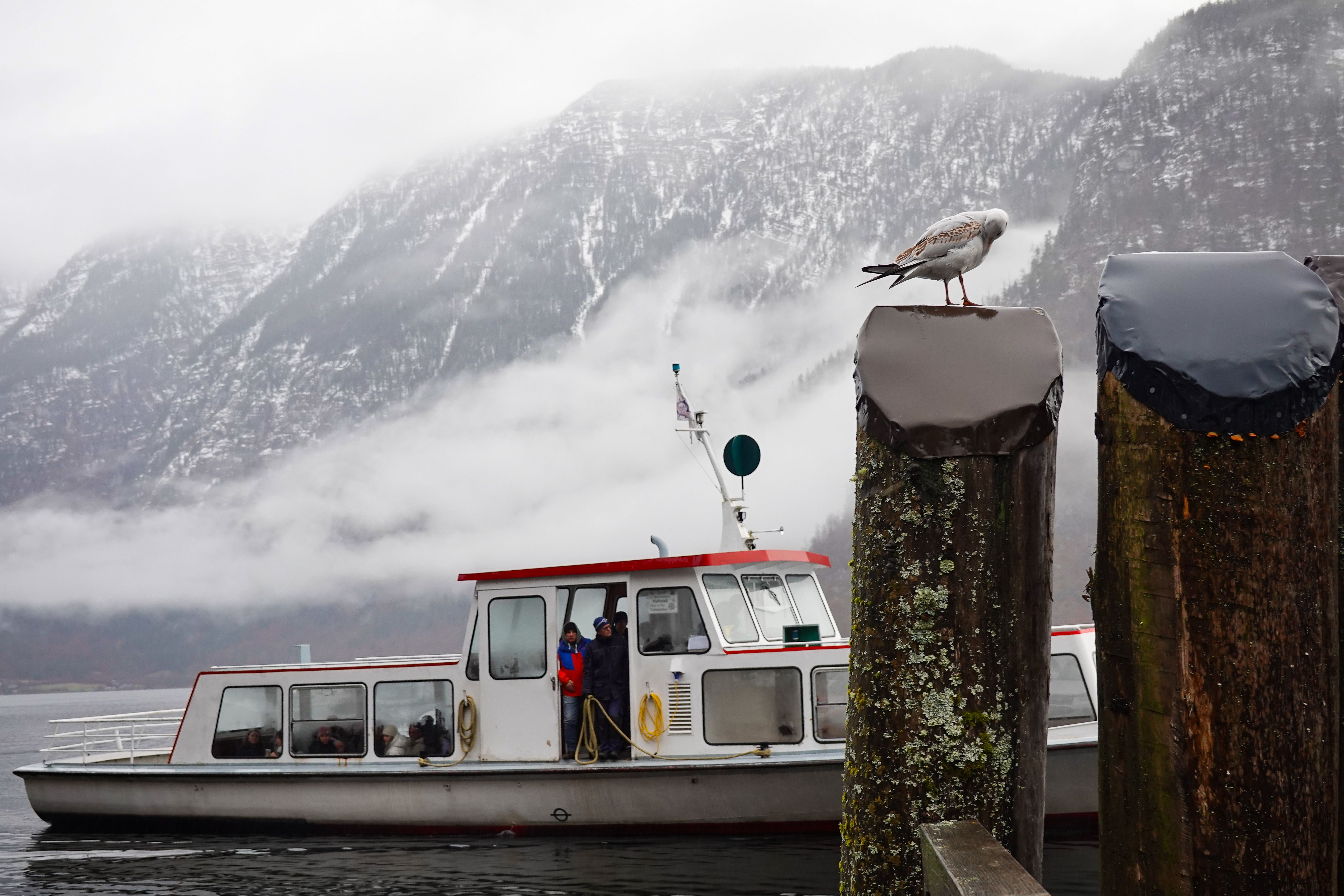 Scenic Winter Ferry Ride in Hallstatt, Austria · Free Stock Photo