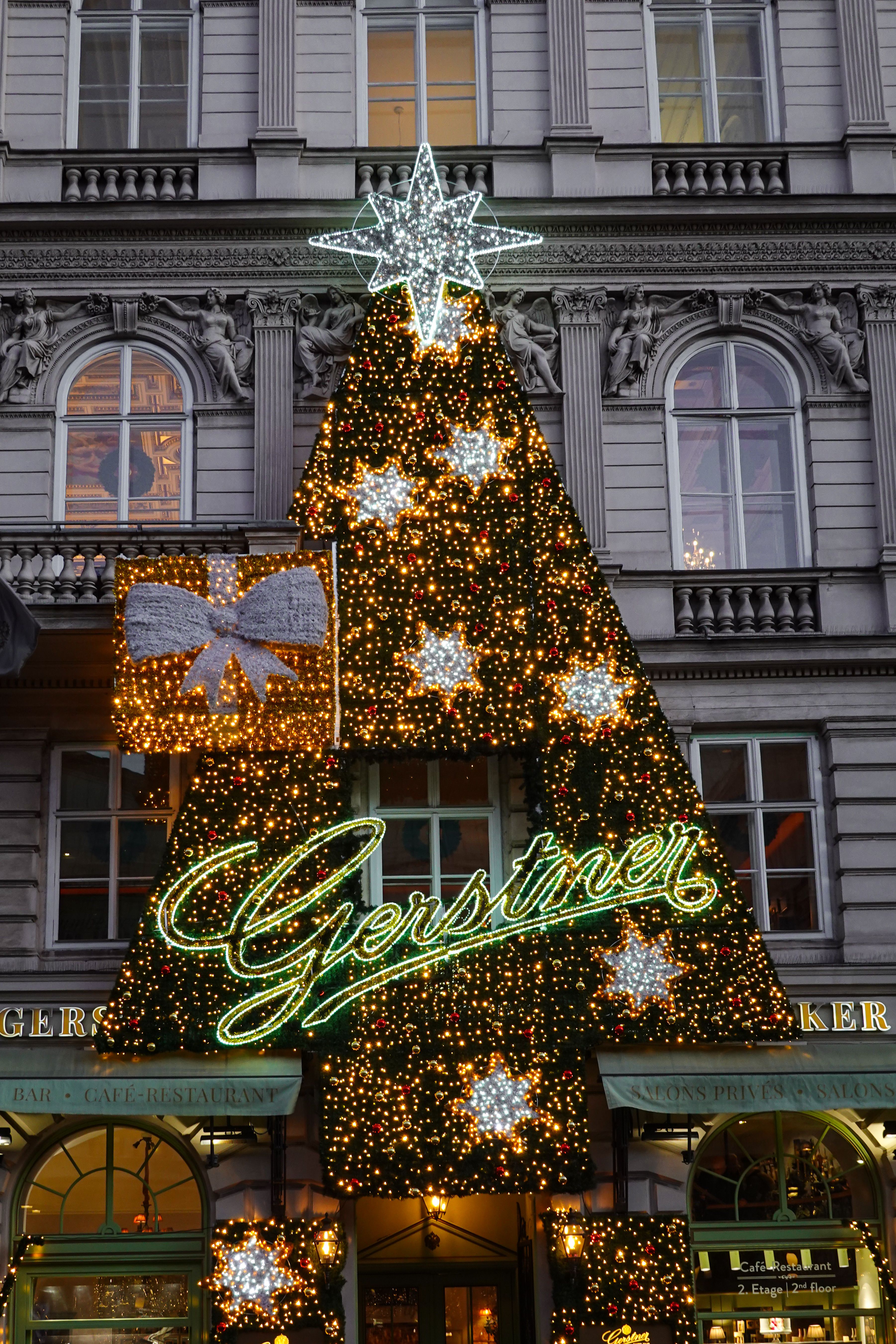 Festive Christmas Tree Display in Urban Setting · Free Stock Photo