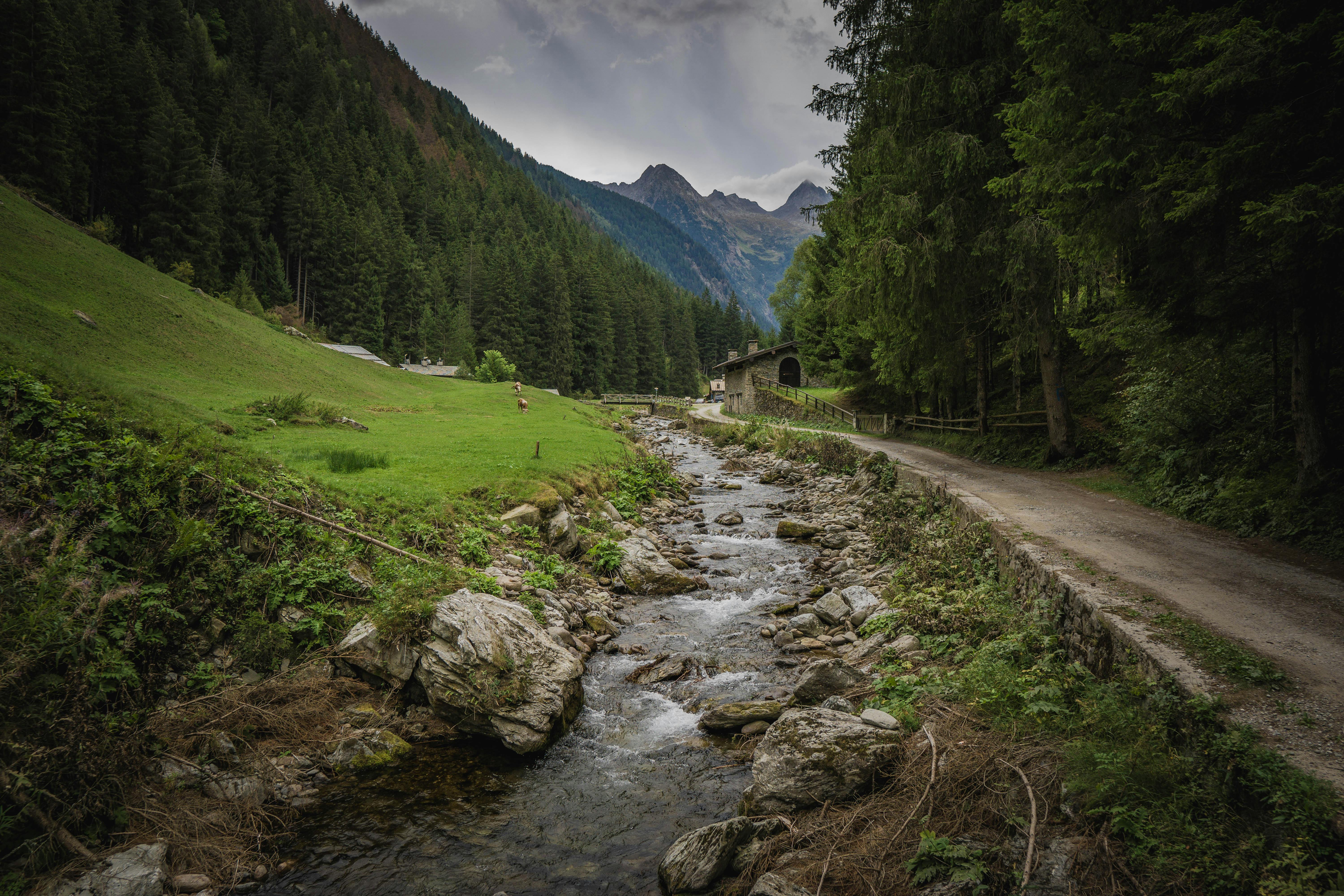 Scenic Mountain Stream in Tranquil Valley · Free Stock Photo