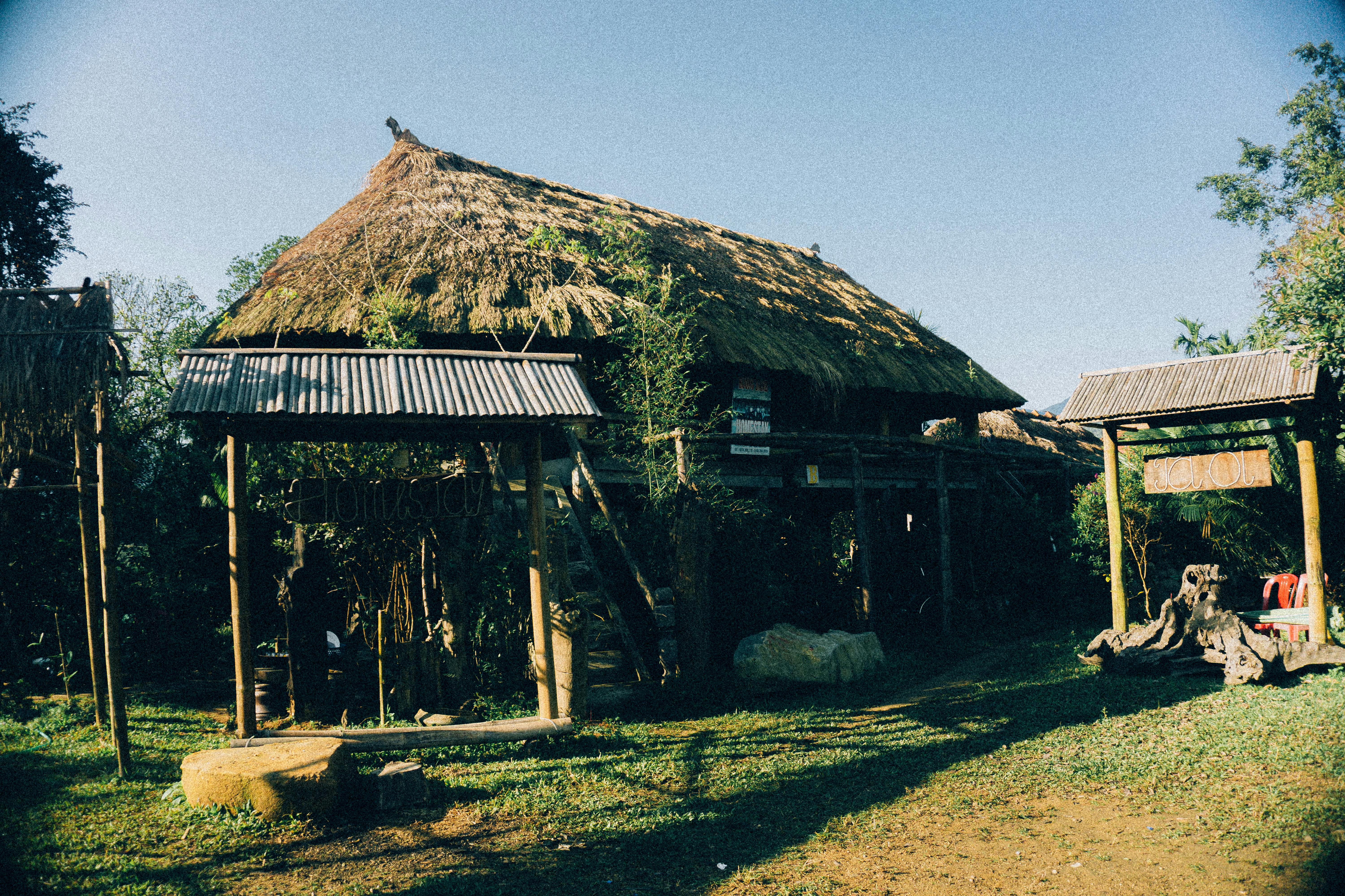 Rustic Thatch Roof House in Lush Setting · Free Stock Photo