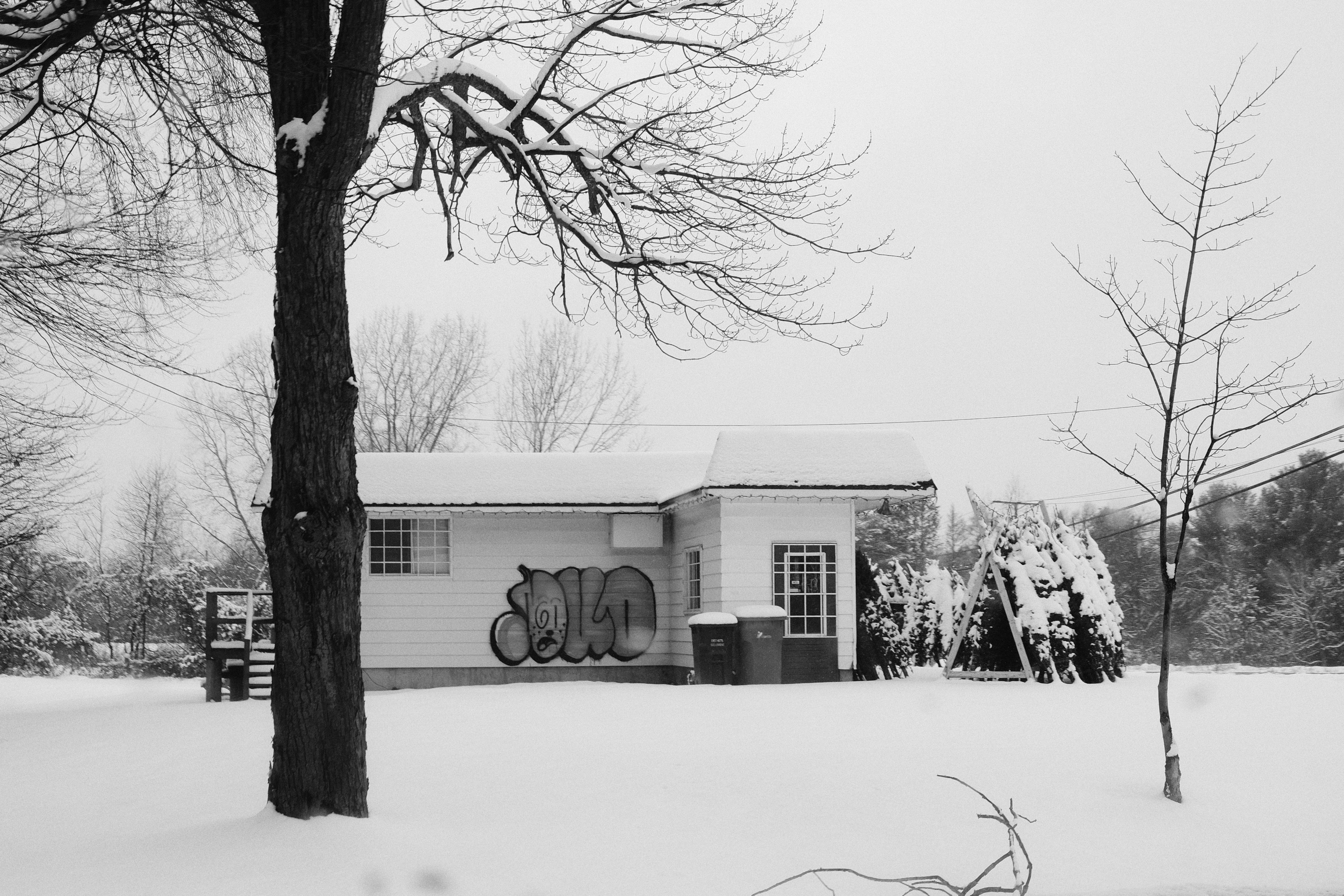 Snow-covered House with Graffiti in Winter Scene · Free Stock Photo
