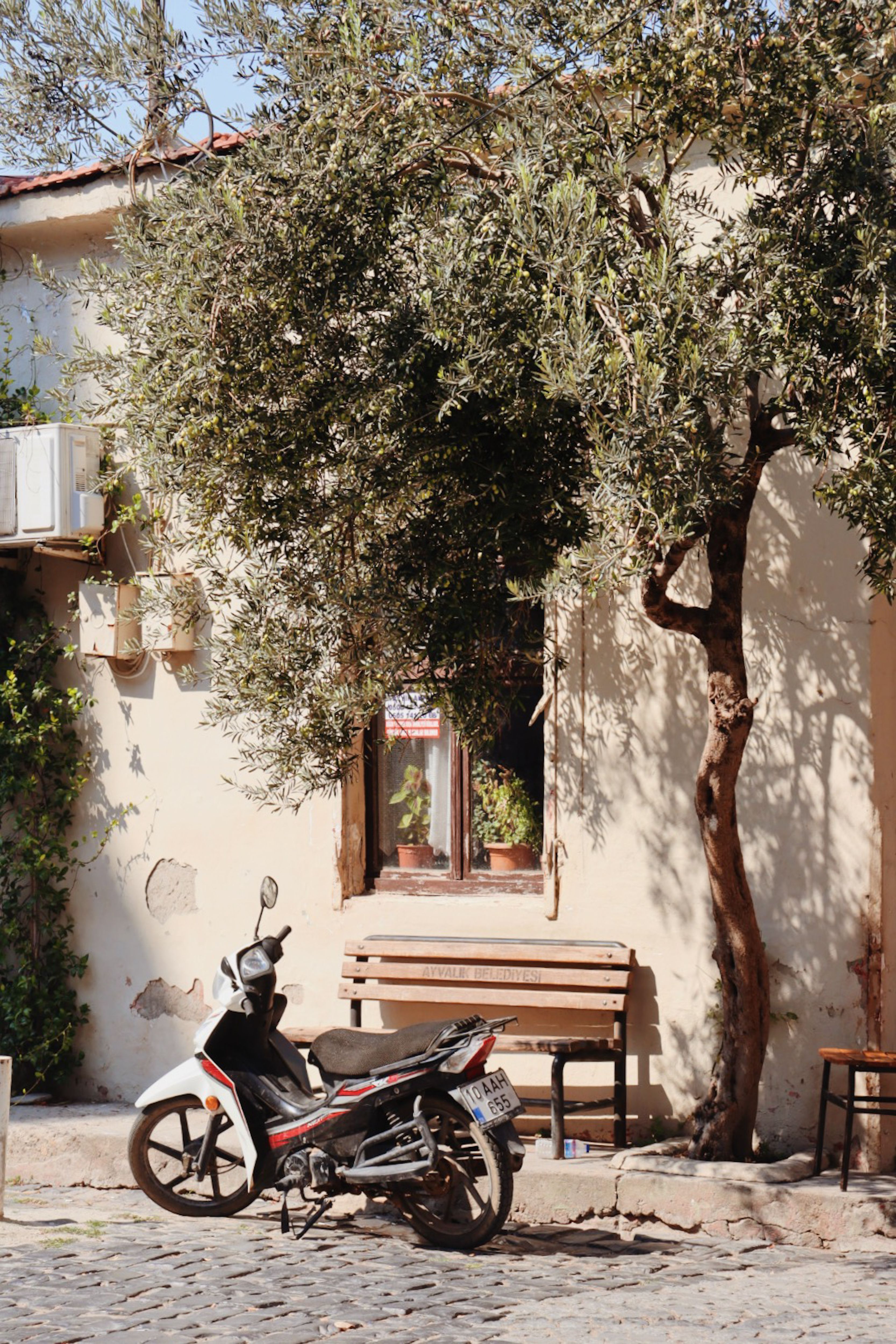 Cozy Urban Scene with Scooter and Tree · Free Stock Photo