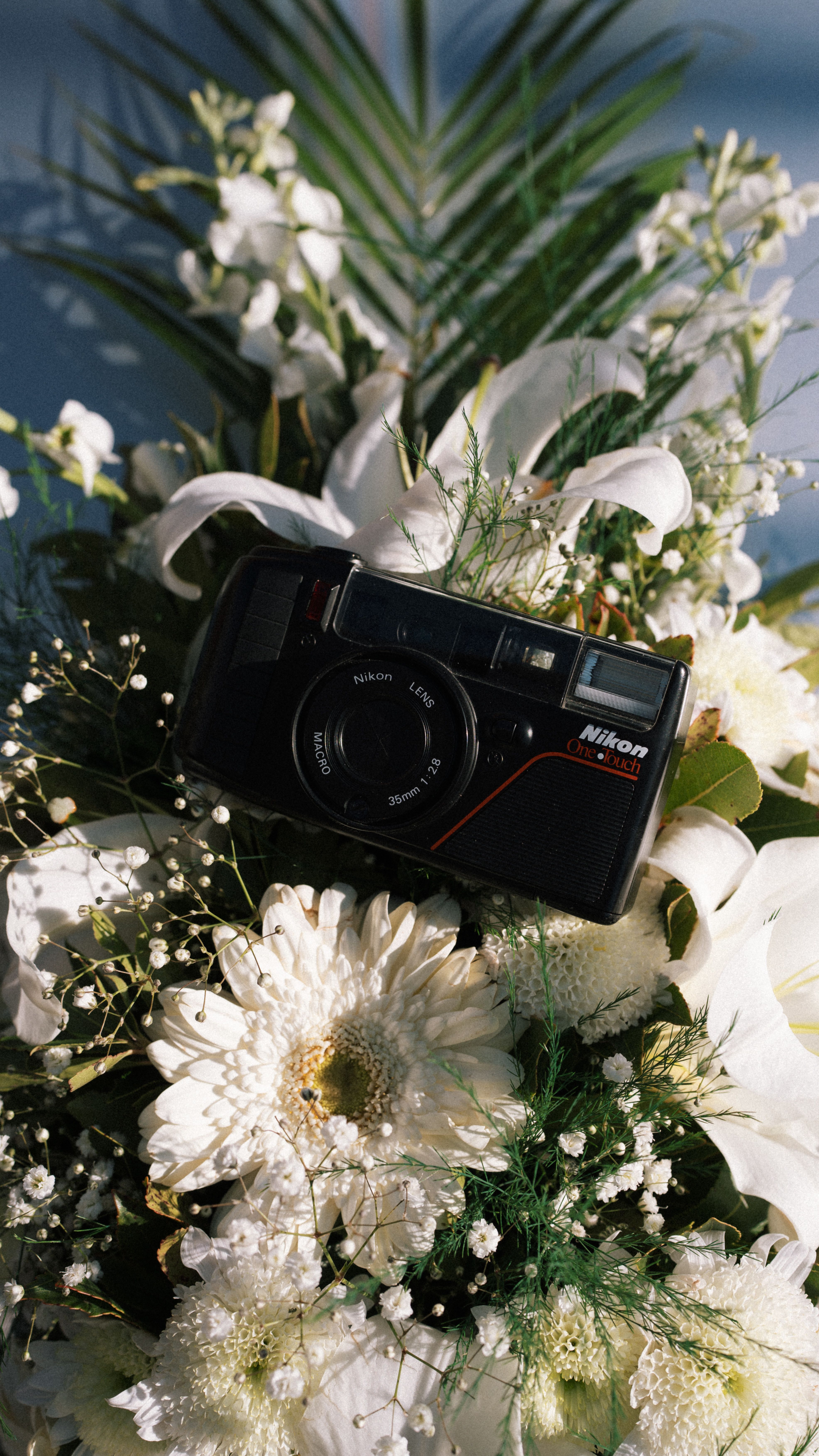 Vintage Nikon Camera in Floral Arrangement · Free Stock Photo