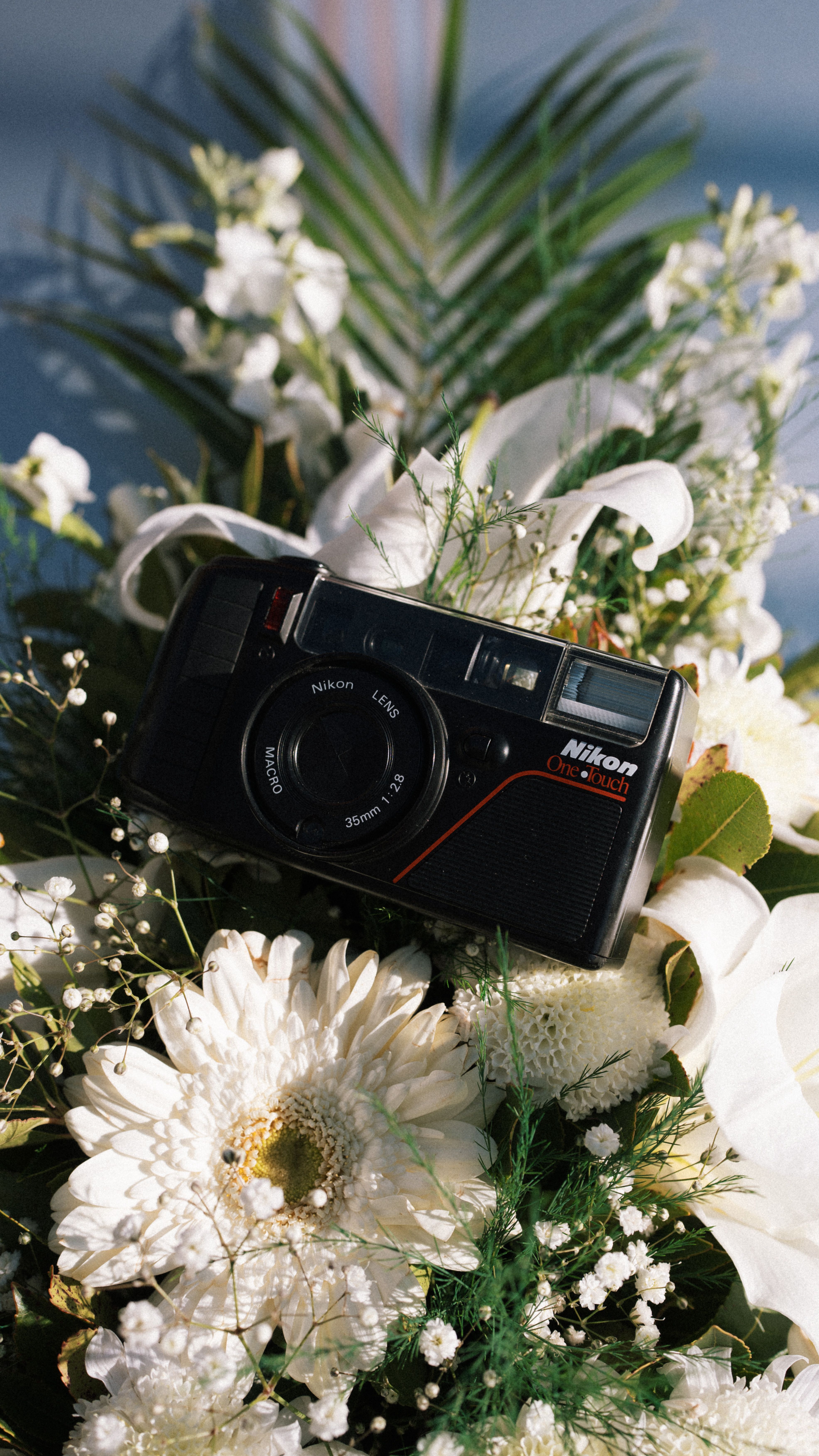 Vintage Camera on Floral Arrangement · Free Stock Photo