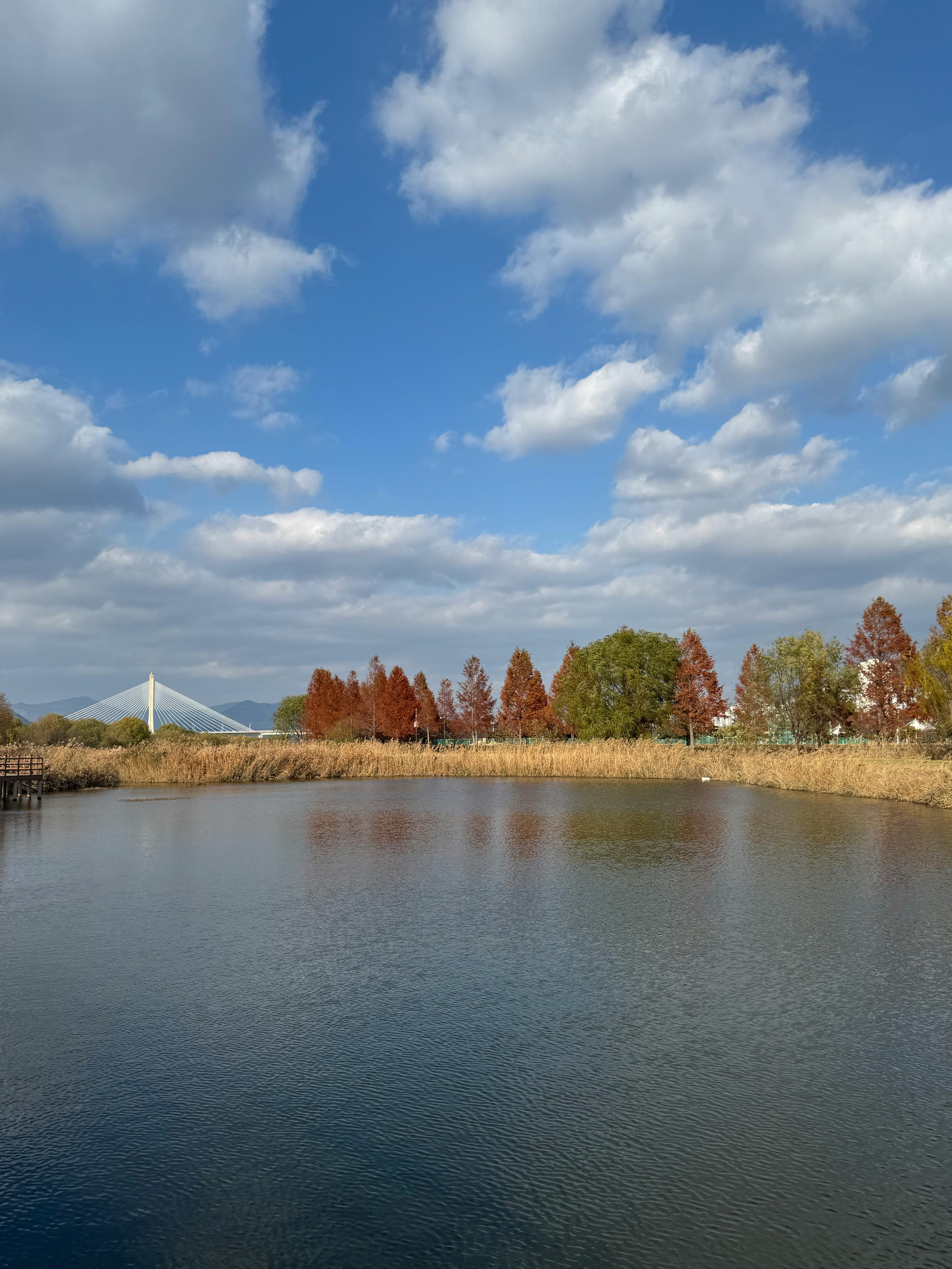 Scenic Autumn Lake View in Busan Park · Free Stock Photo