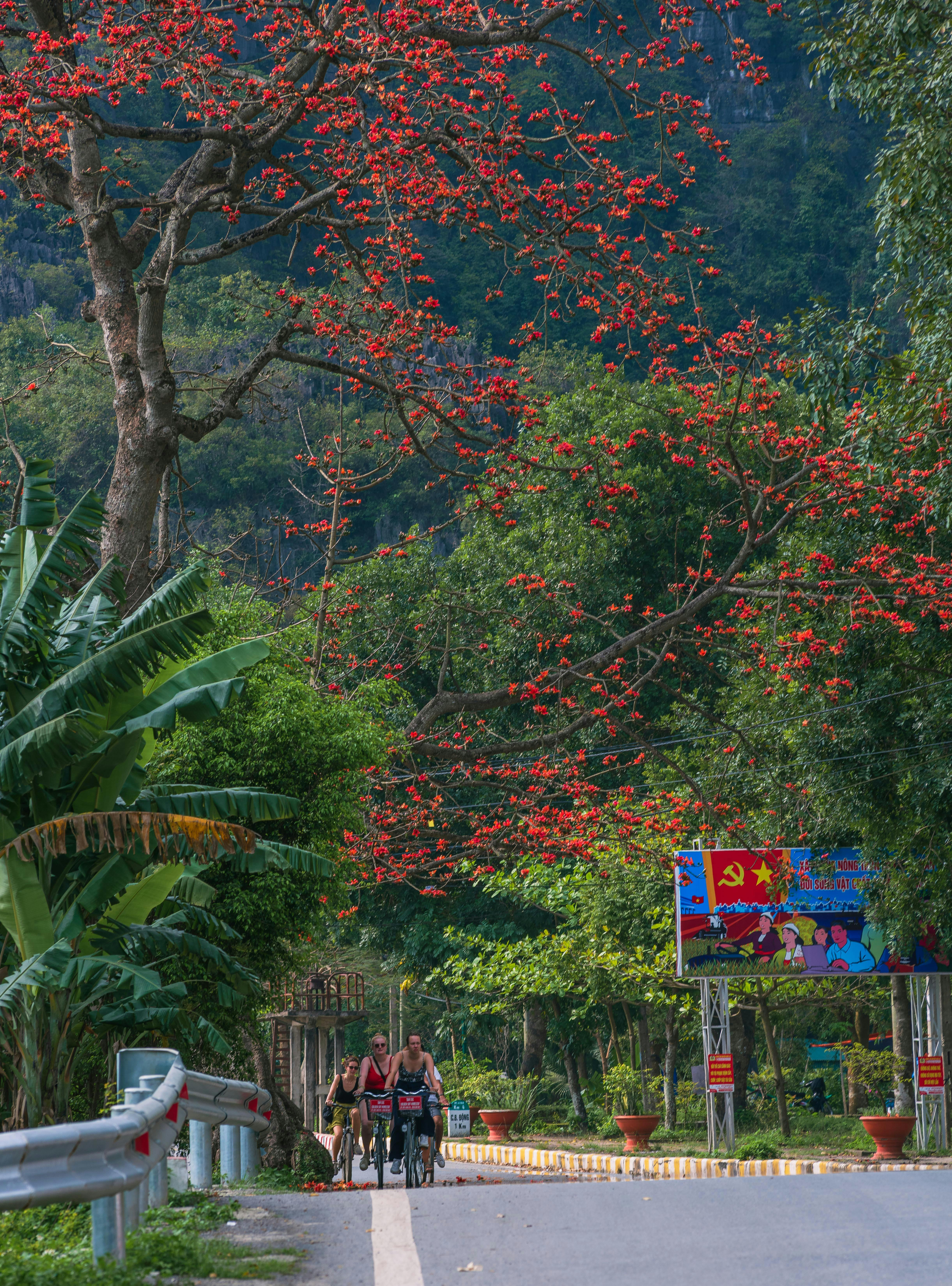 Stro Tour Photos, Download The BEST Free Stro Tour Stock Photos & HD Images