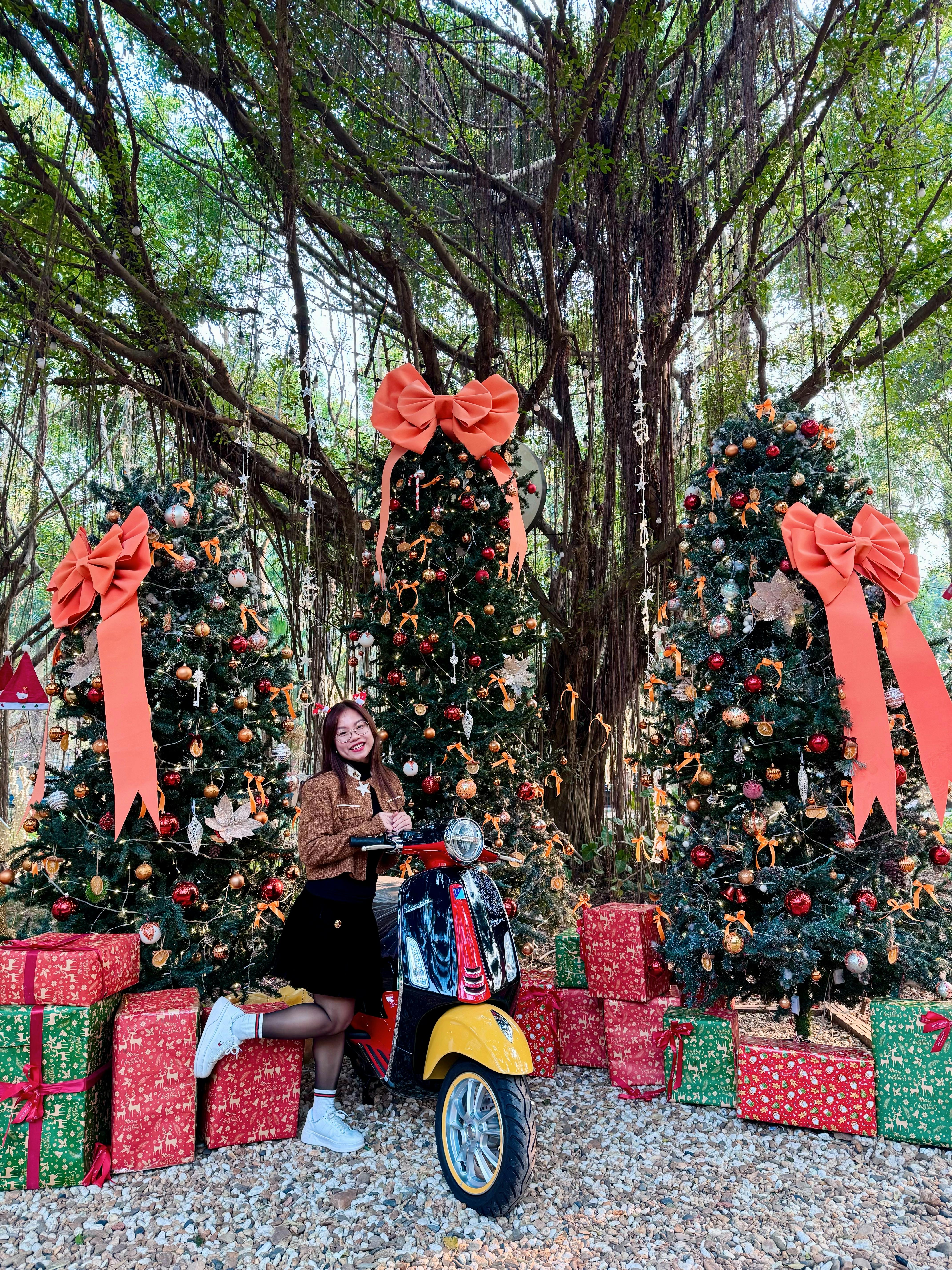 Picture Women Tesaro Photos, Download The BEST Free Picture Women ...