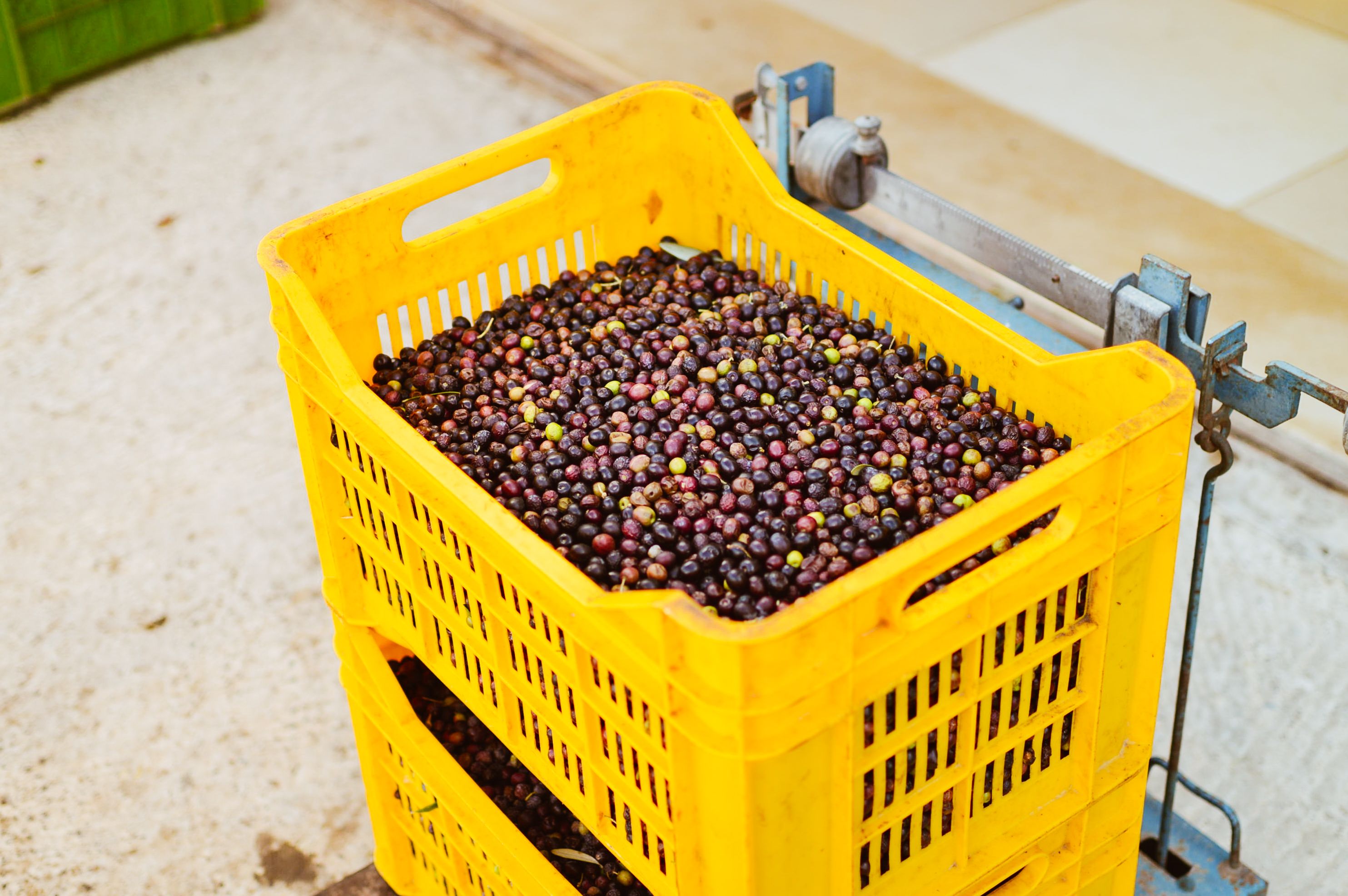 Crates Of Fresh Produce Photos, Download The BEST Free Crates Of Fresh ...