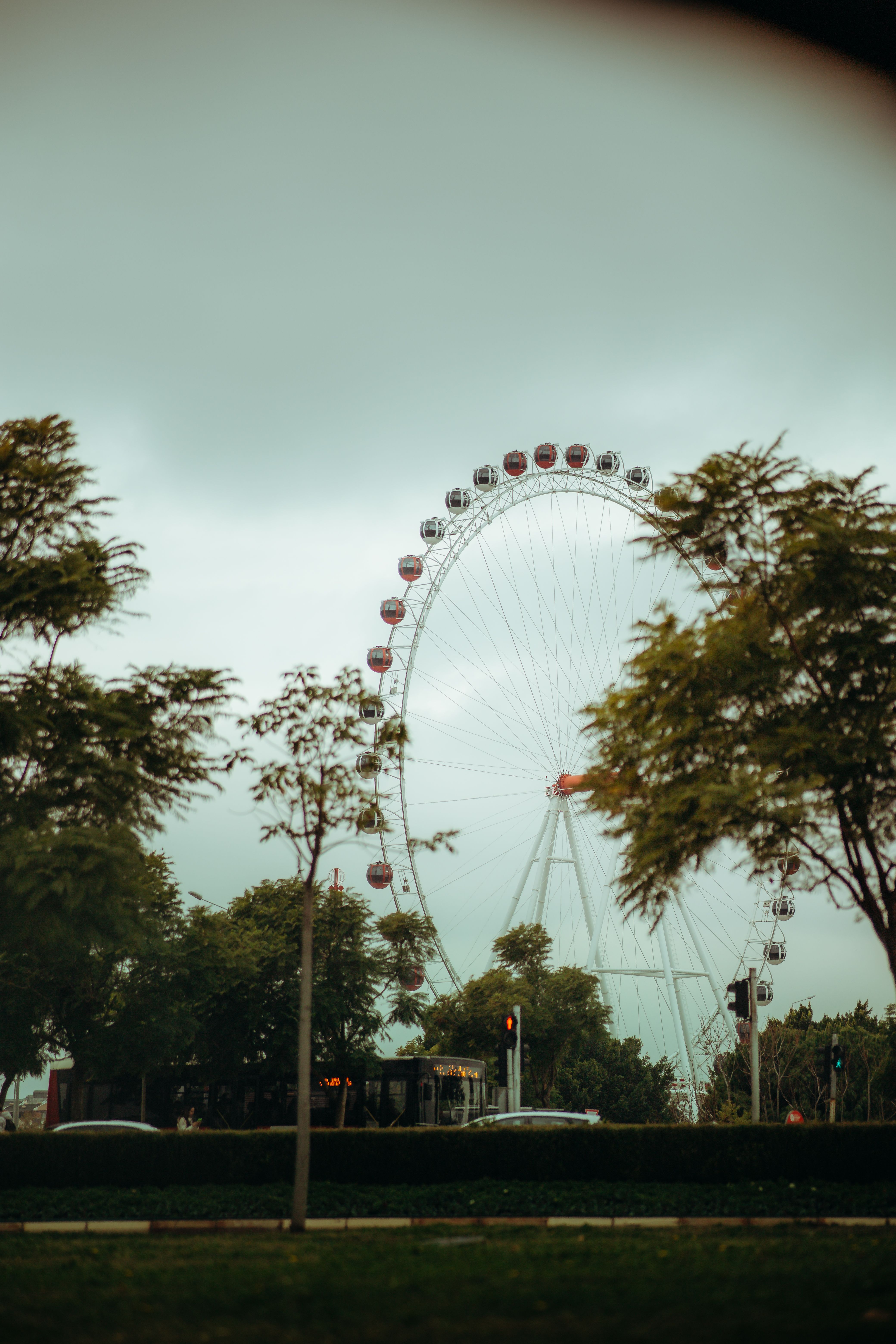Scenic View of Iconic Ferris Wheel Through Trees · Free Stock Photo
