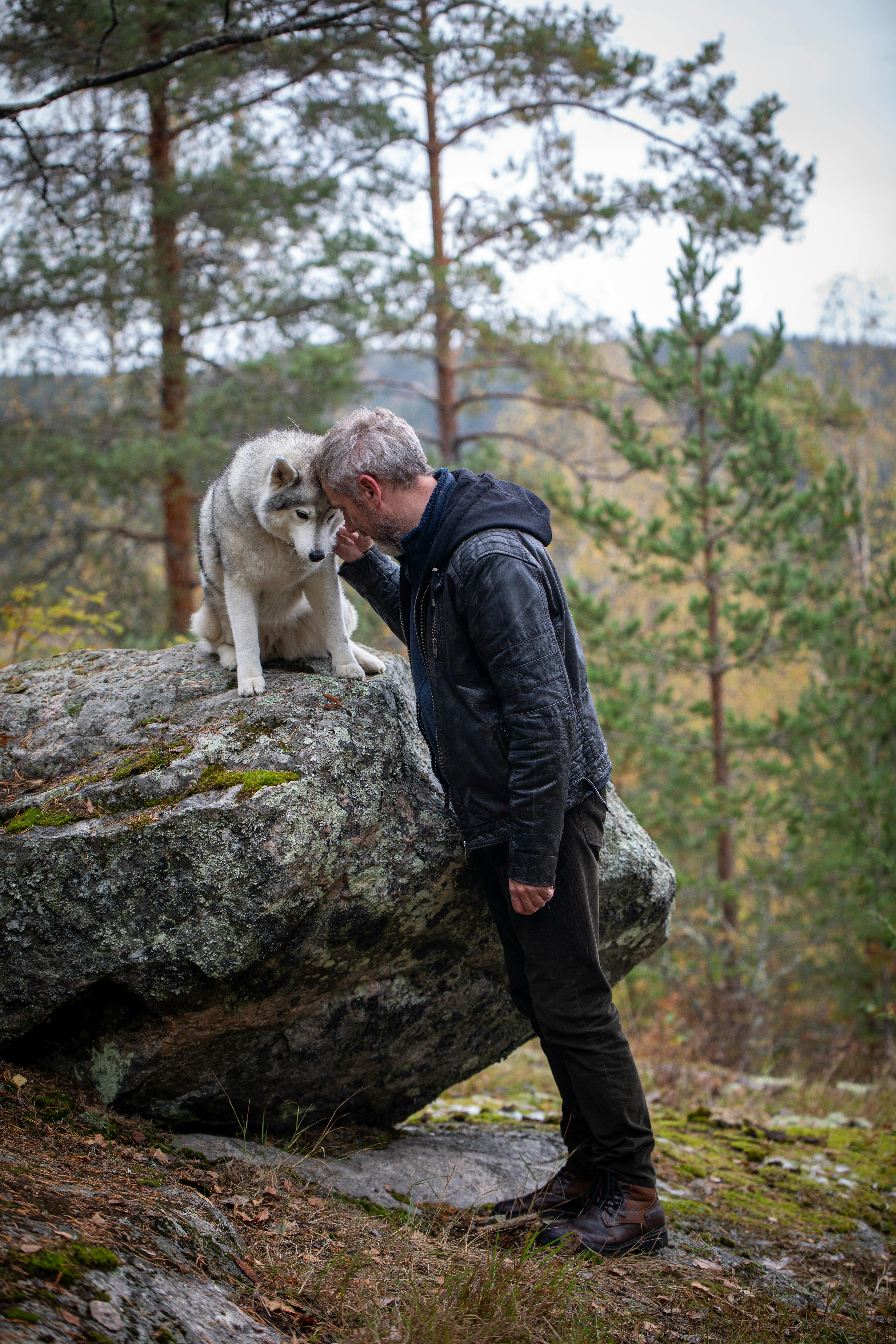 Man bonding with a wolf in the forest · Free Stock Photo
