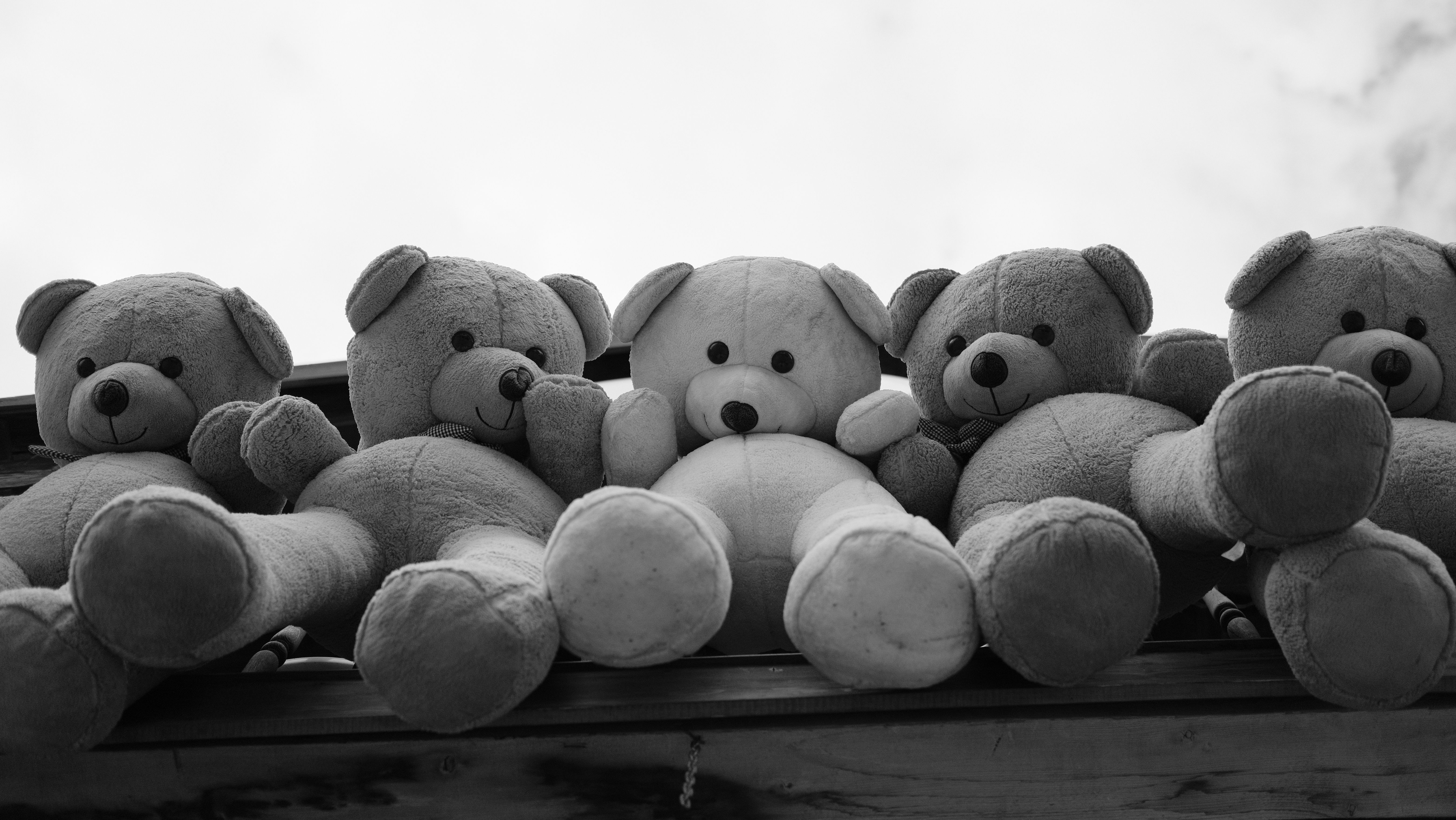 Row of Teddy Bears Displayed Outdoors · Free Stock Photo