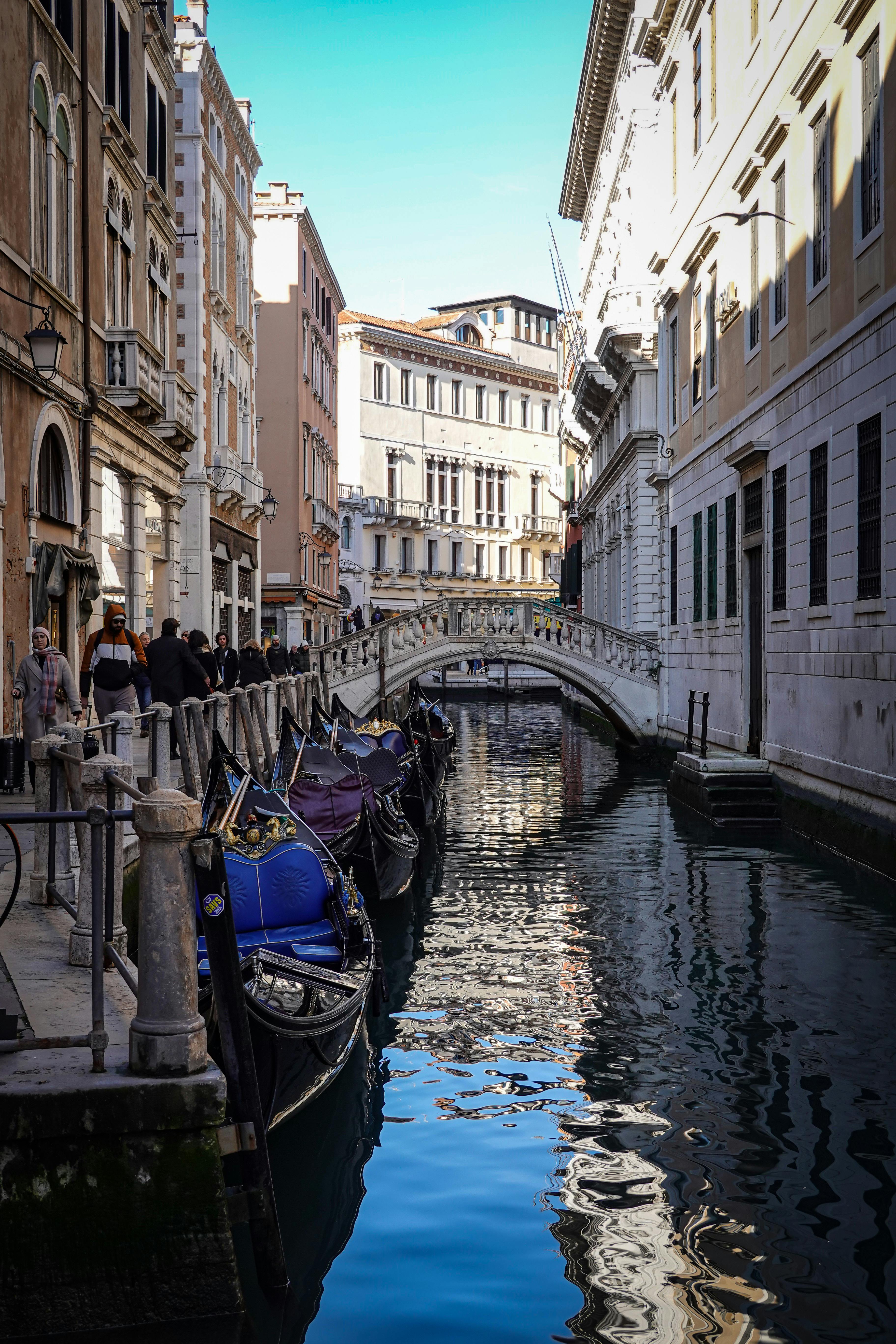 Scenic Venice Canal with Gondolas and Bridge · Free Stock Photo