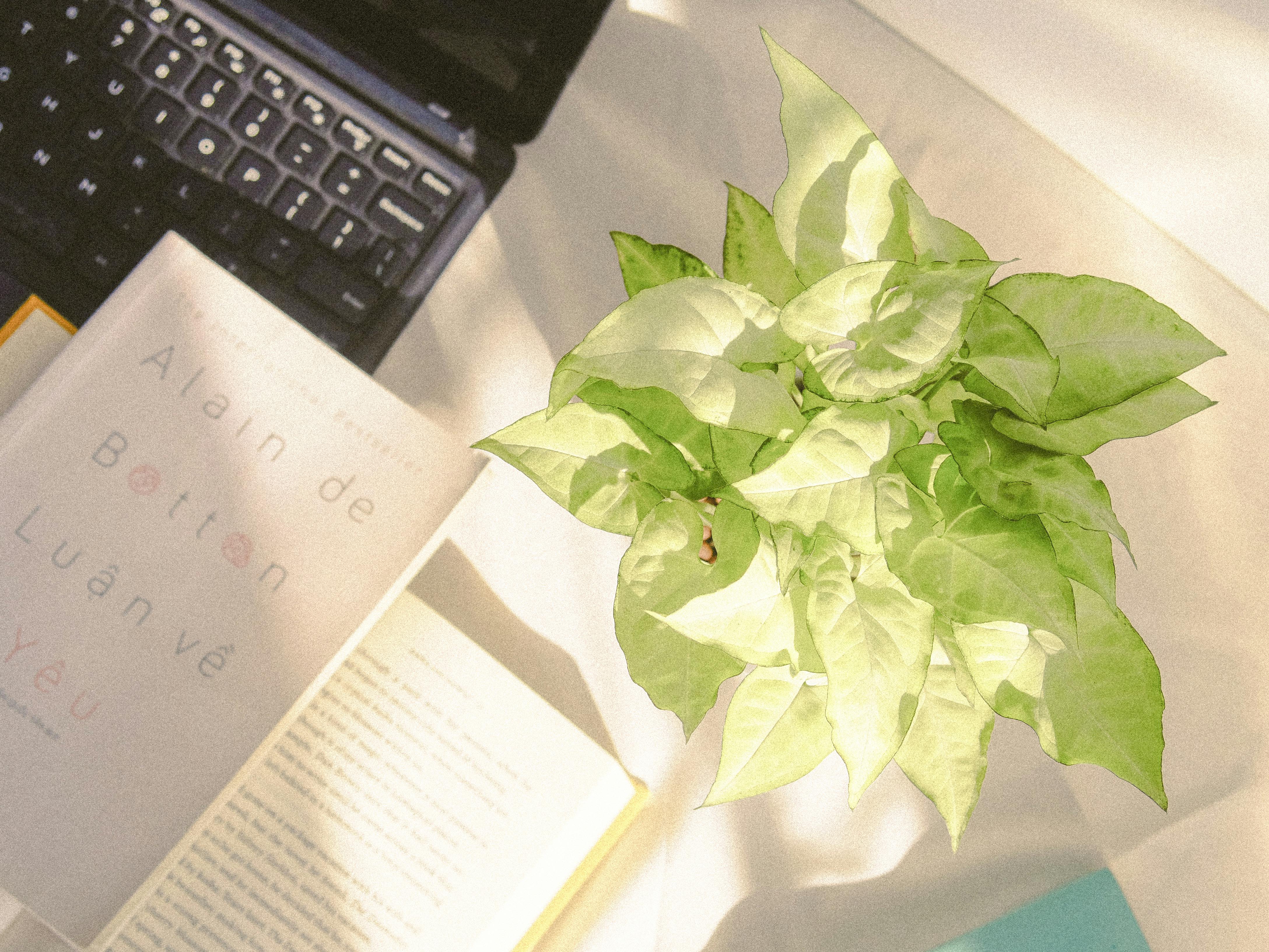 Laptop Pribadi Photos, Download The BEST Free Laptop Pribadi Stock ...