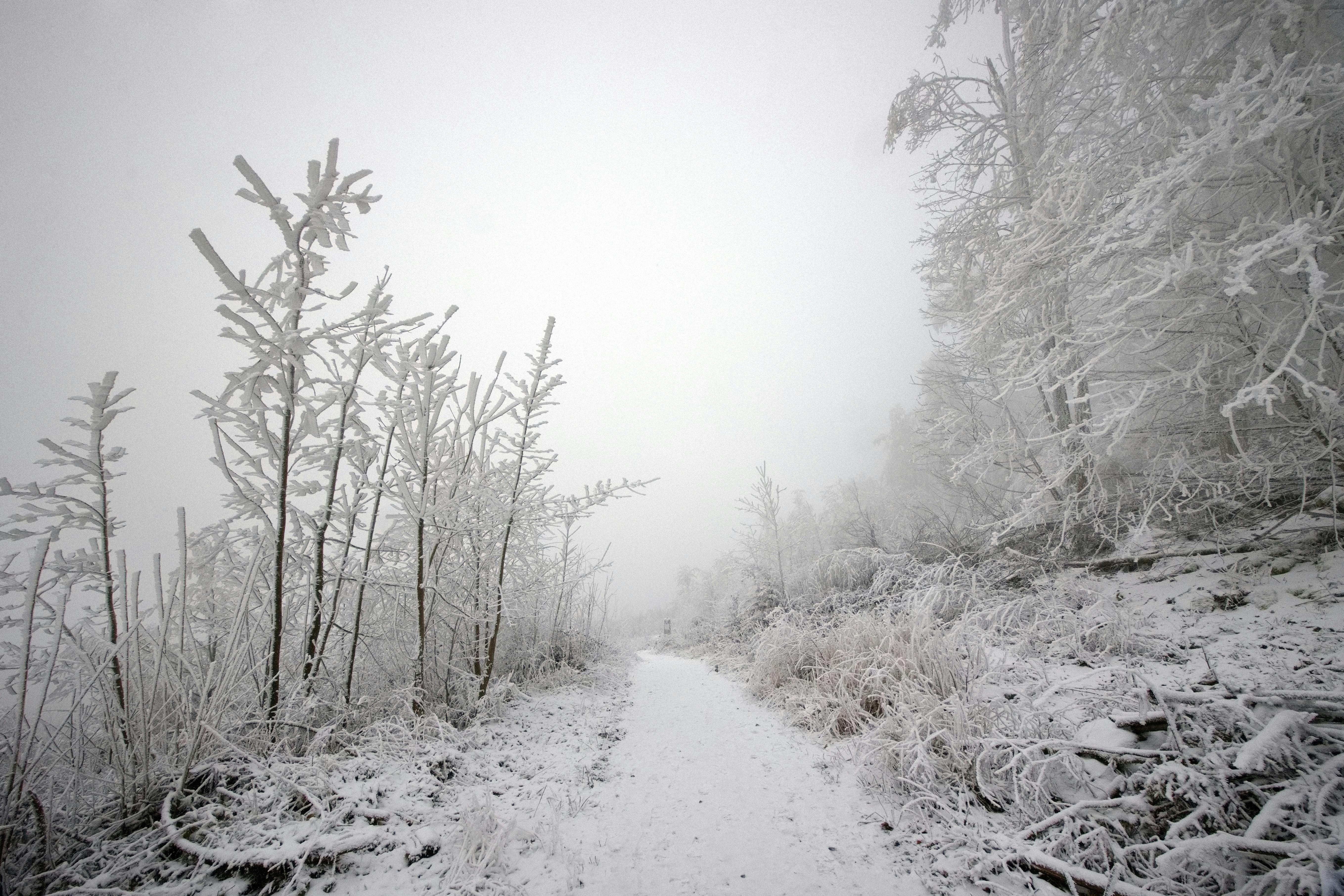 Snowfall Weather Photos, Download The BEST Free Snowfall Weather Stock ...