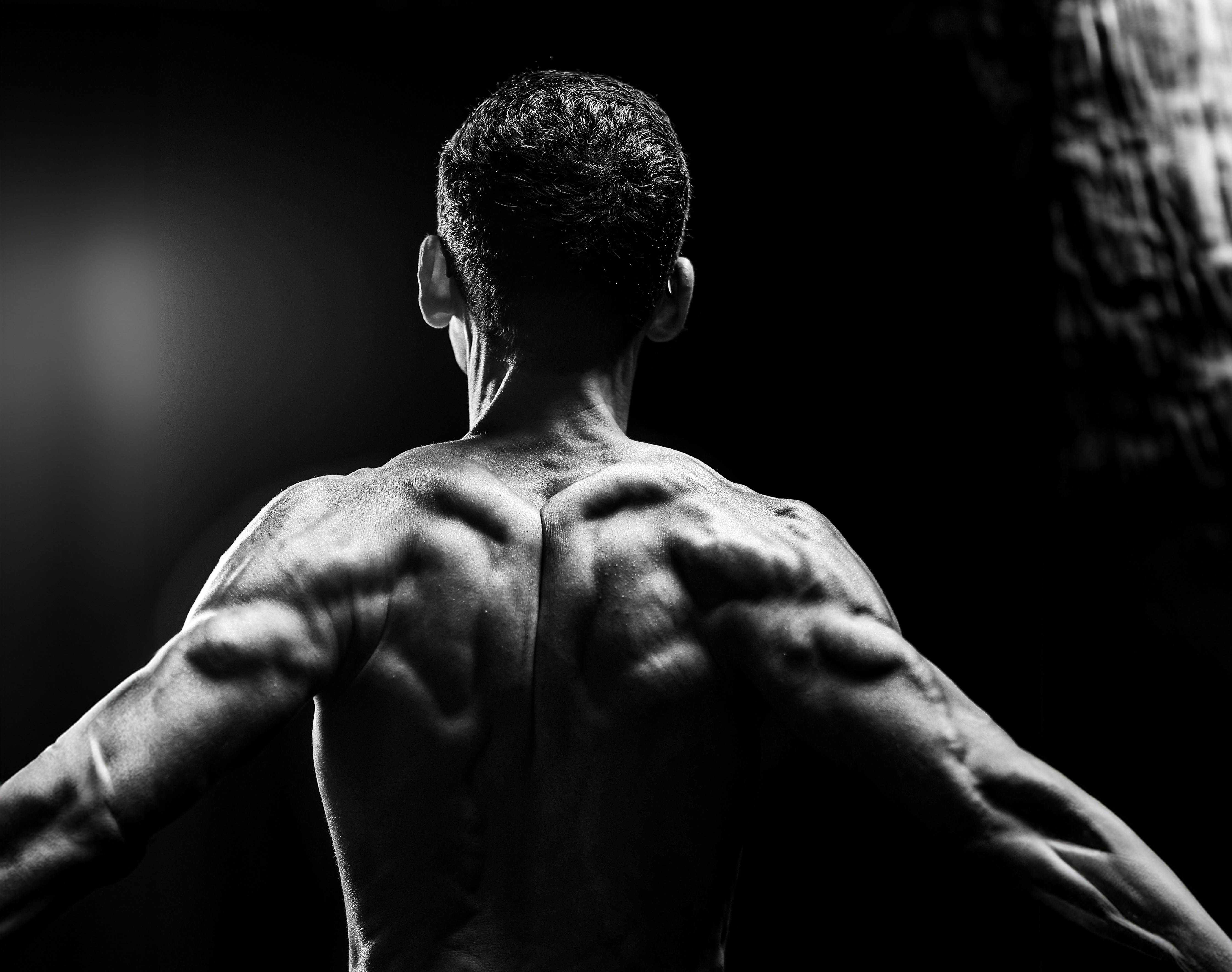 Black and White Muscular Back Portrait · Free Stock Photo