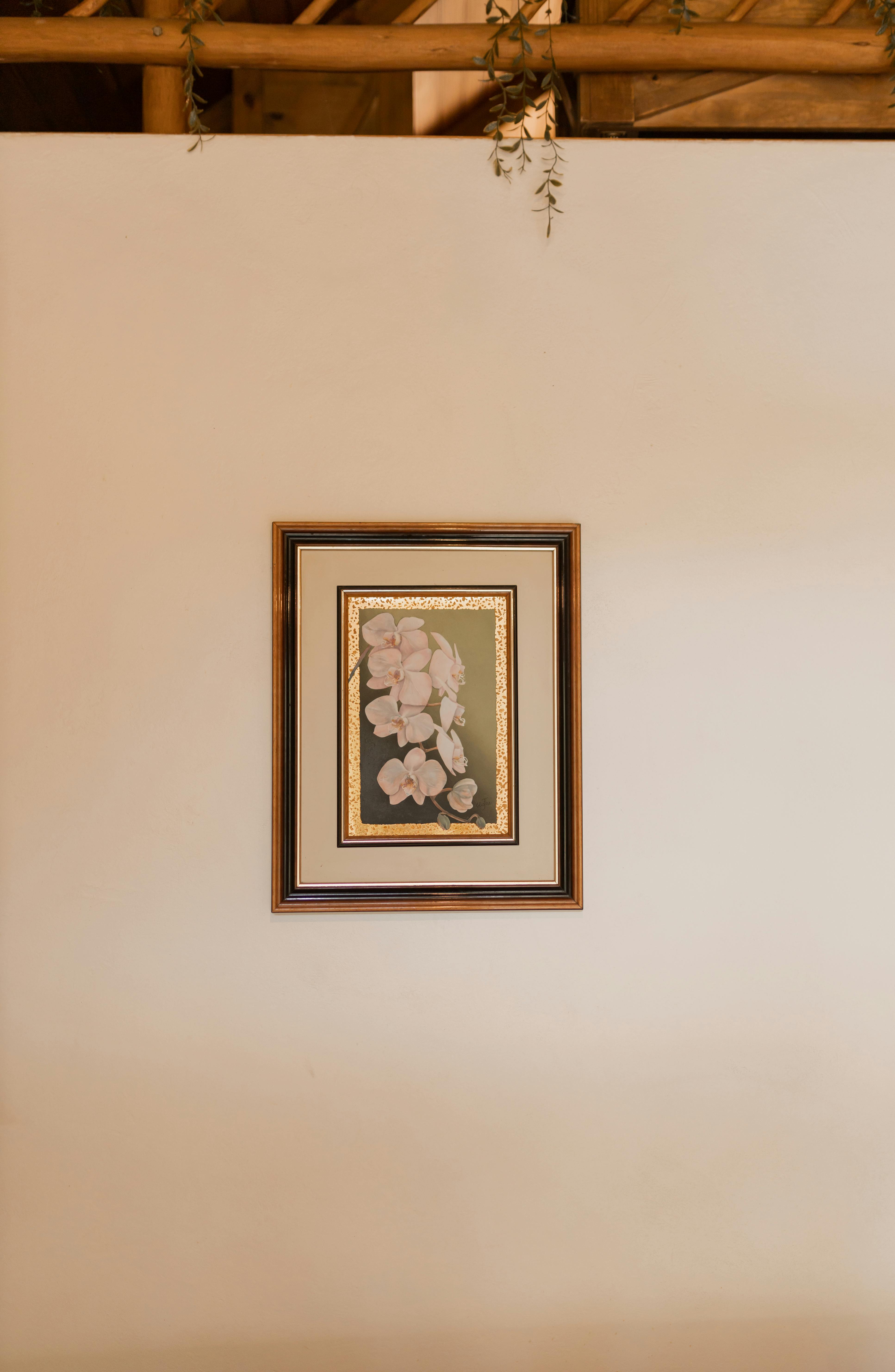 Framed Orchid Painting on Beige Wall · Free Stock Photo