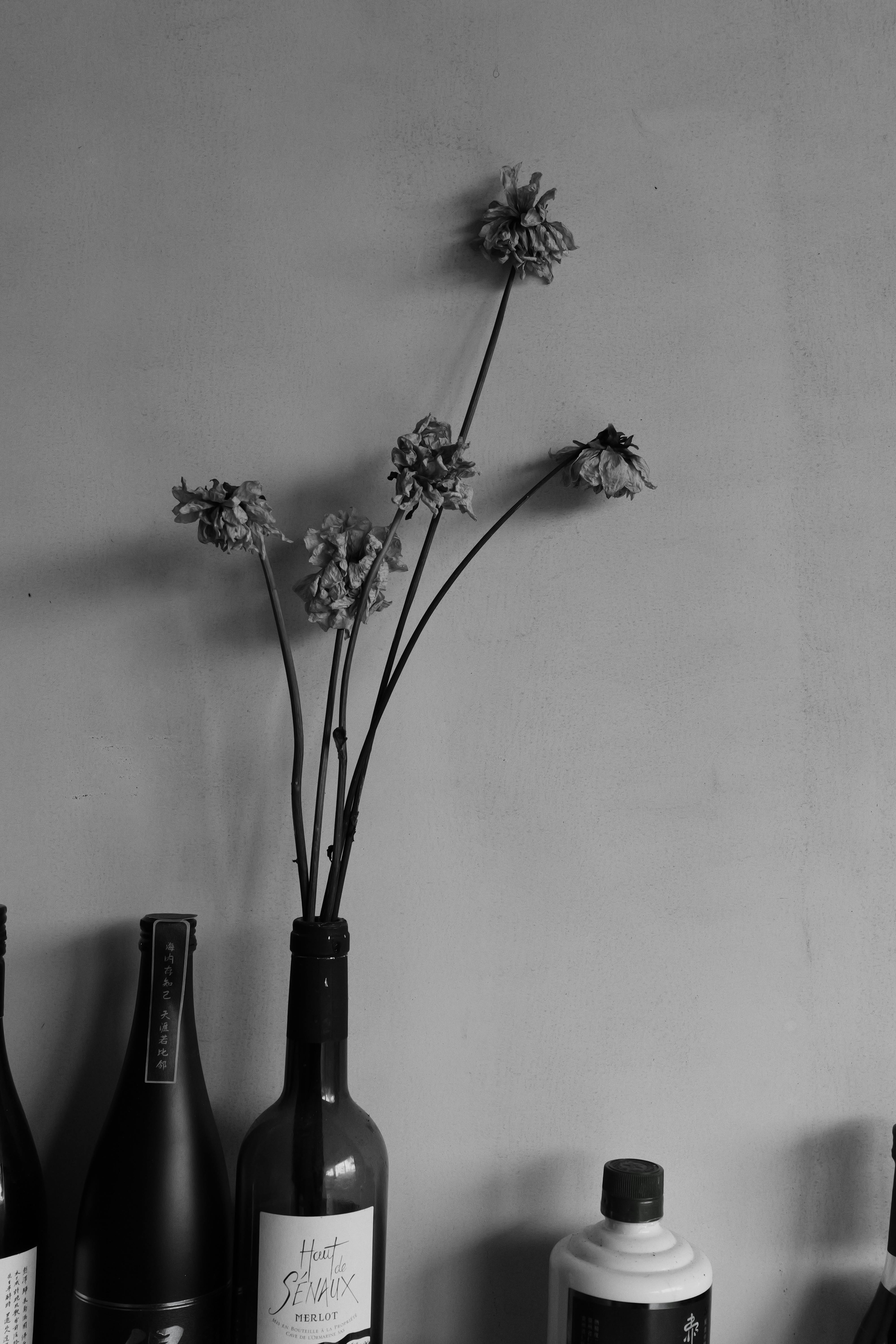 Black and White Still Life with Bottles and Flowers · Free Stock Photo