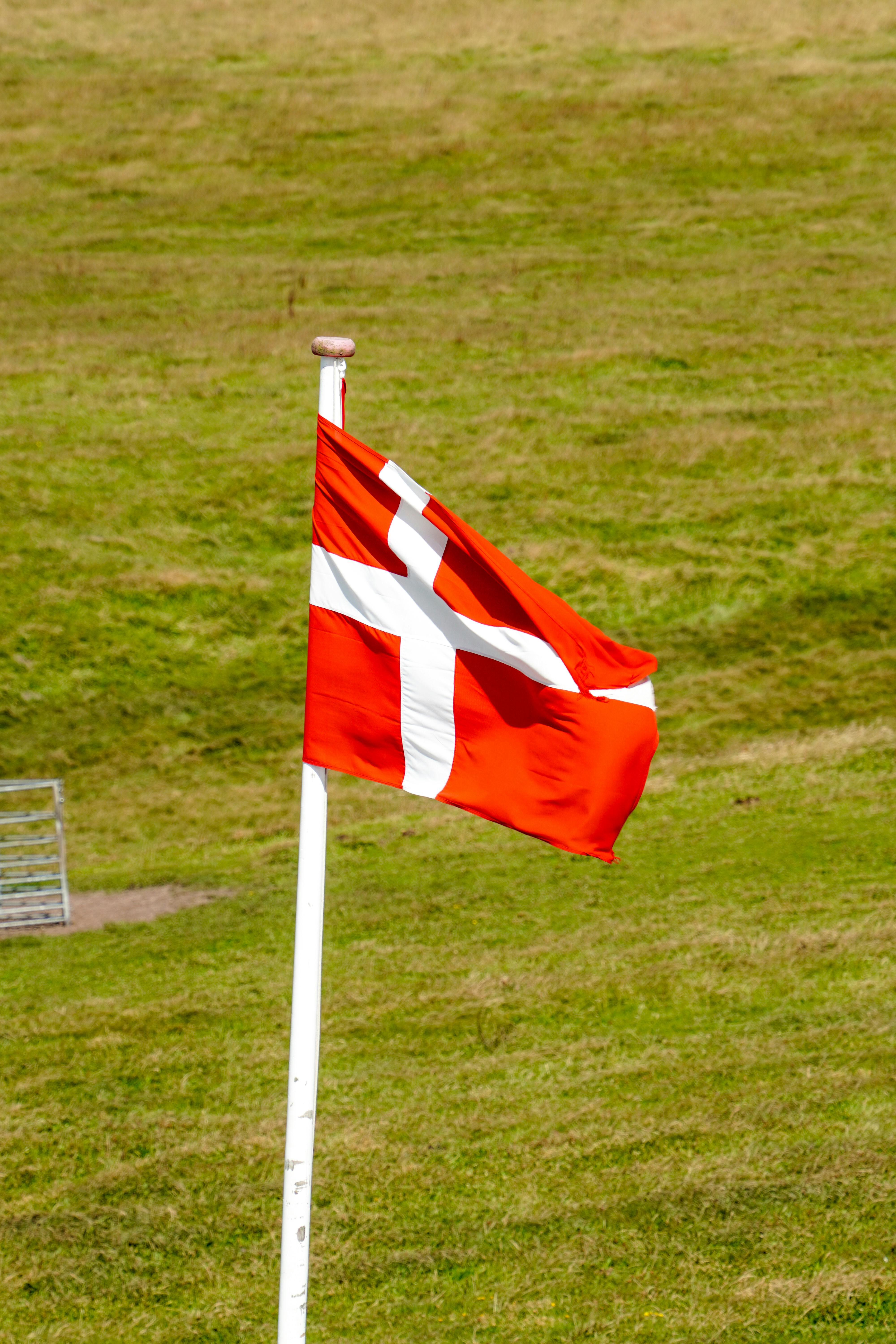 Danish Flag Waving in Wind over Green Landscape · Free Stock Photo