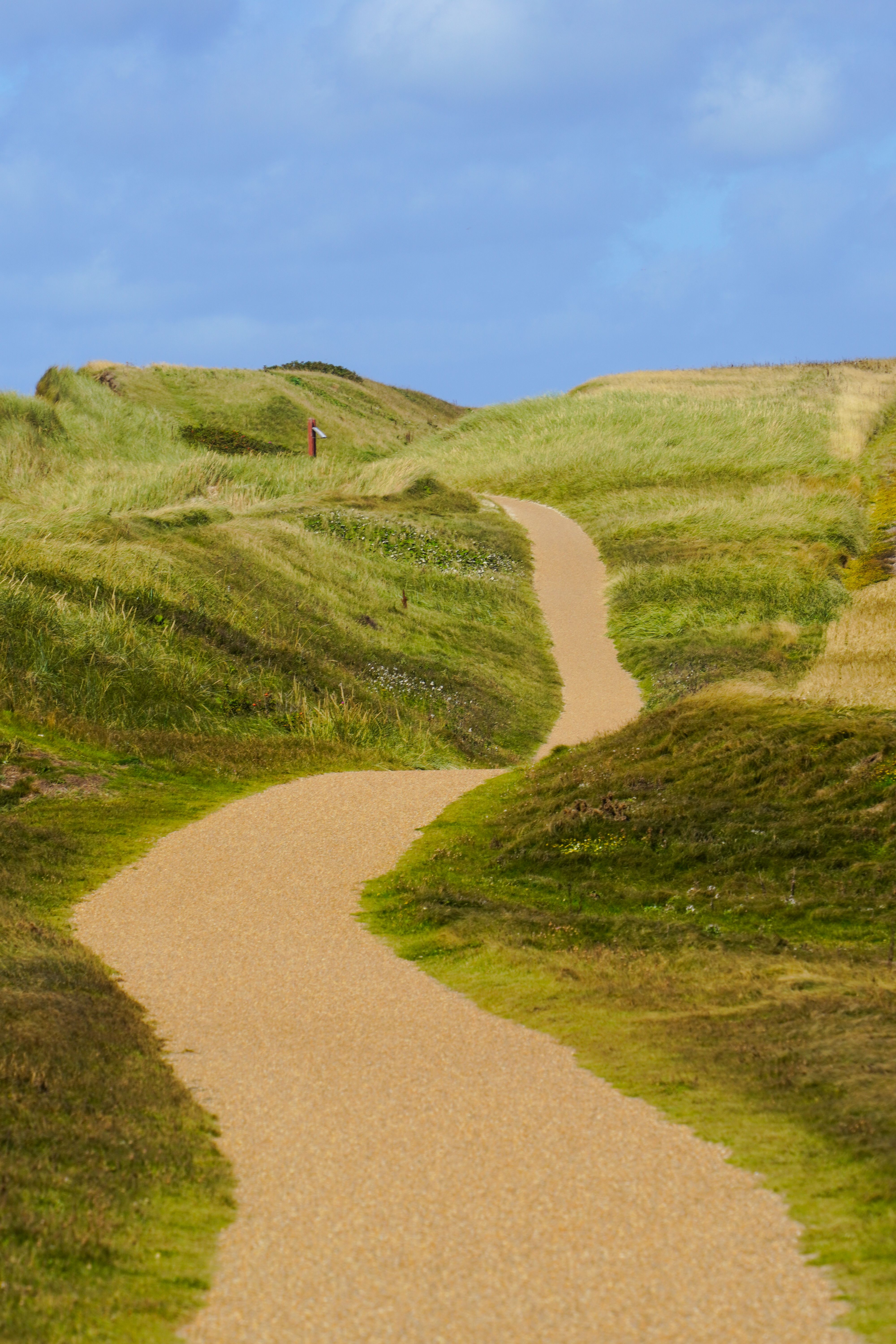 Scenic Pathway Through Danish Grasslands · Free Stock Photo
