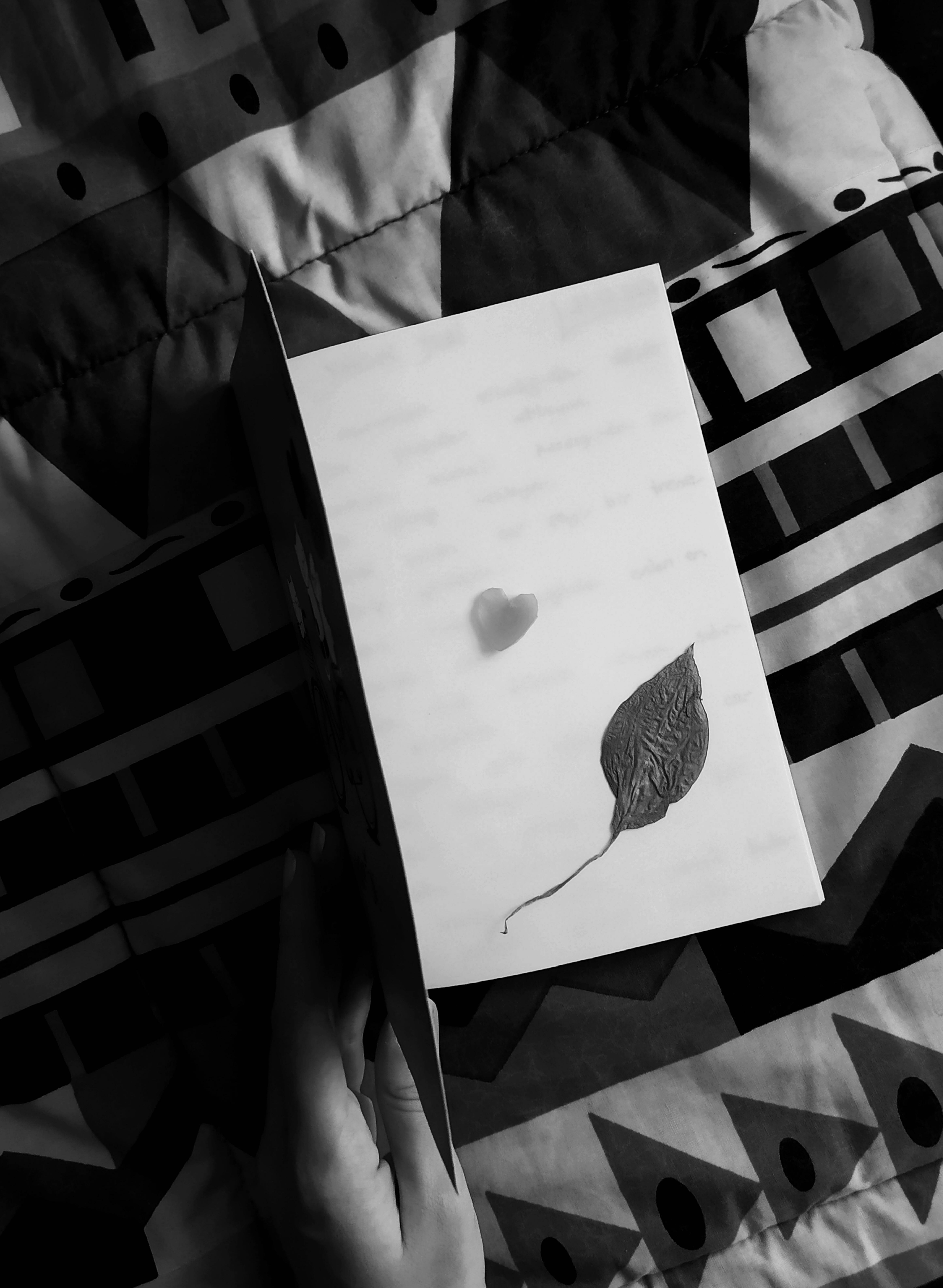 Geographic Card Photos, Download The BEST Free Geographic Card Stock ...