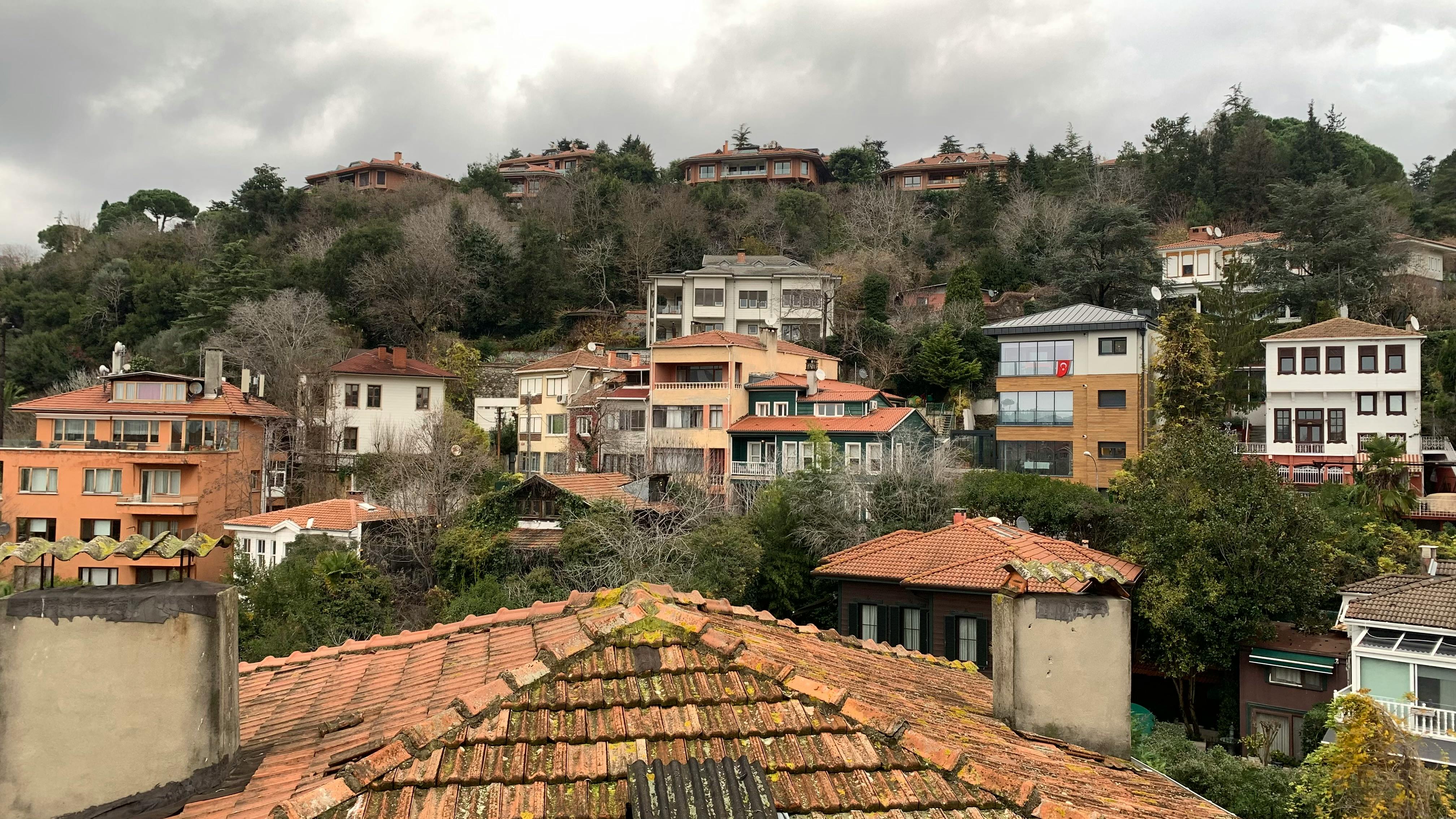 Neighborhood Backdrop Photos, Download The BEST Free Neighborhood ...