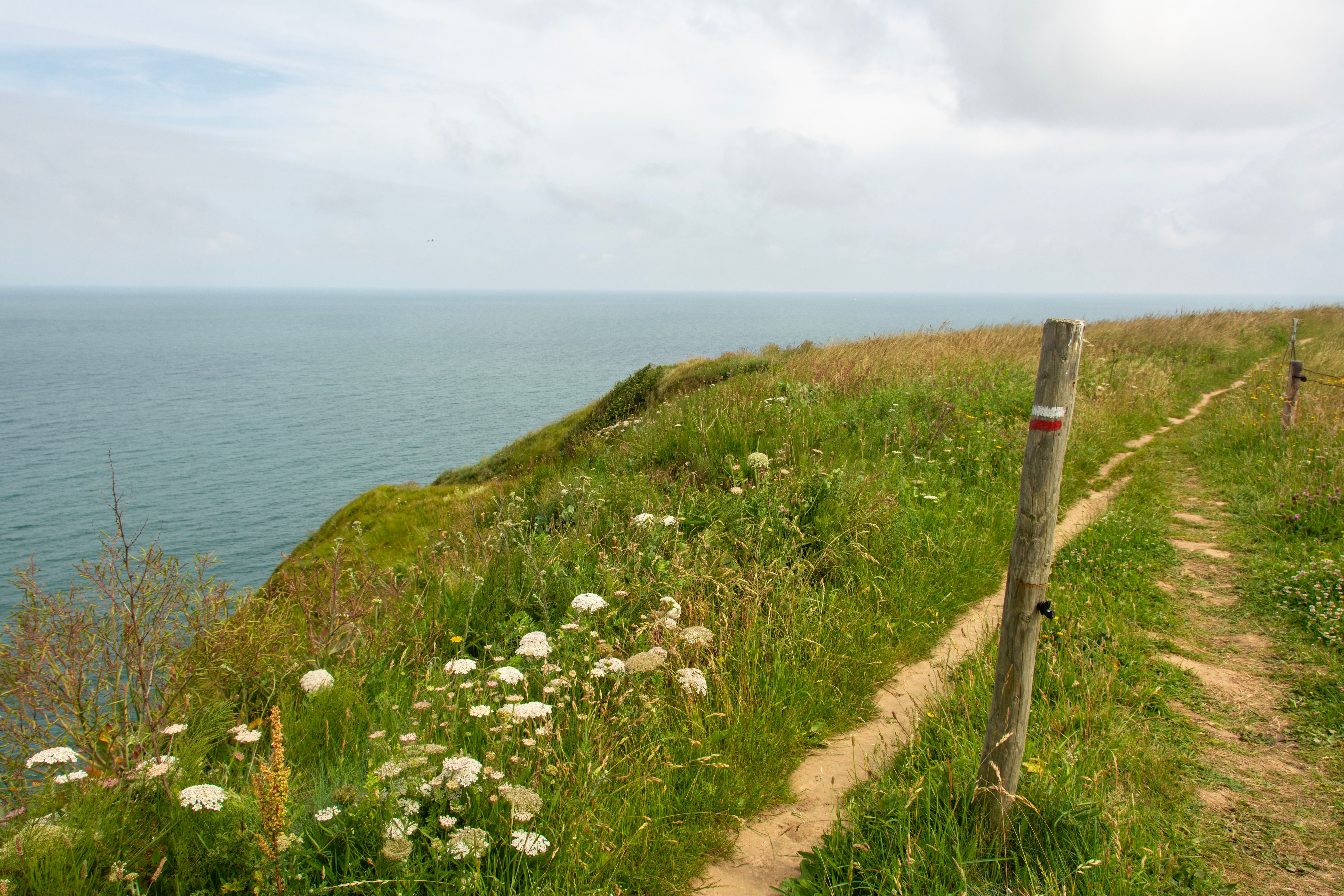 Scenic Coastal Hiking Trail with Ocean View · Free Stock Photo