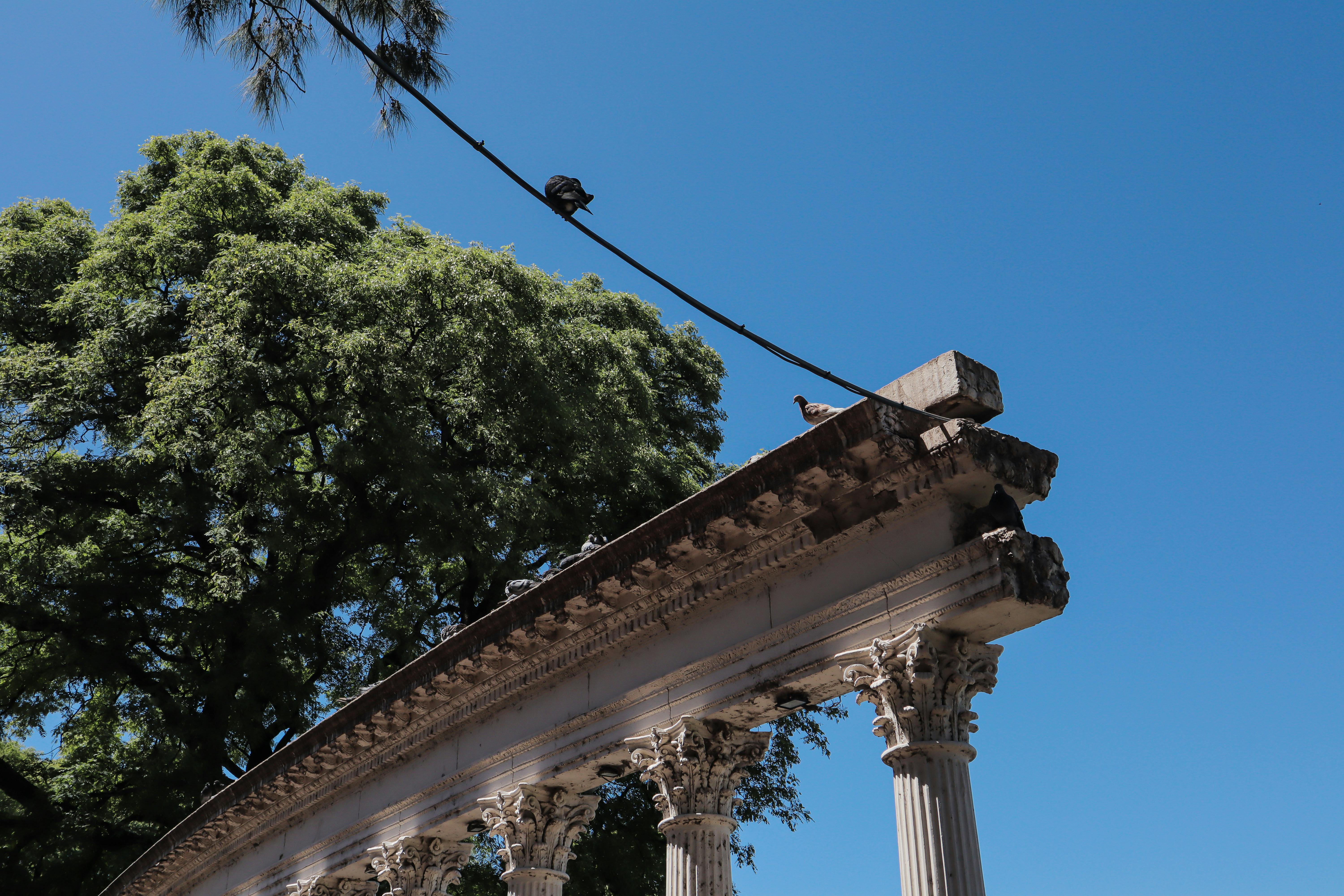 Ancient Roman Column Architecture in Park · Free Stock Photo