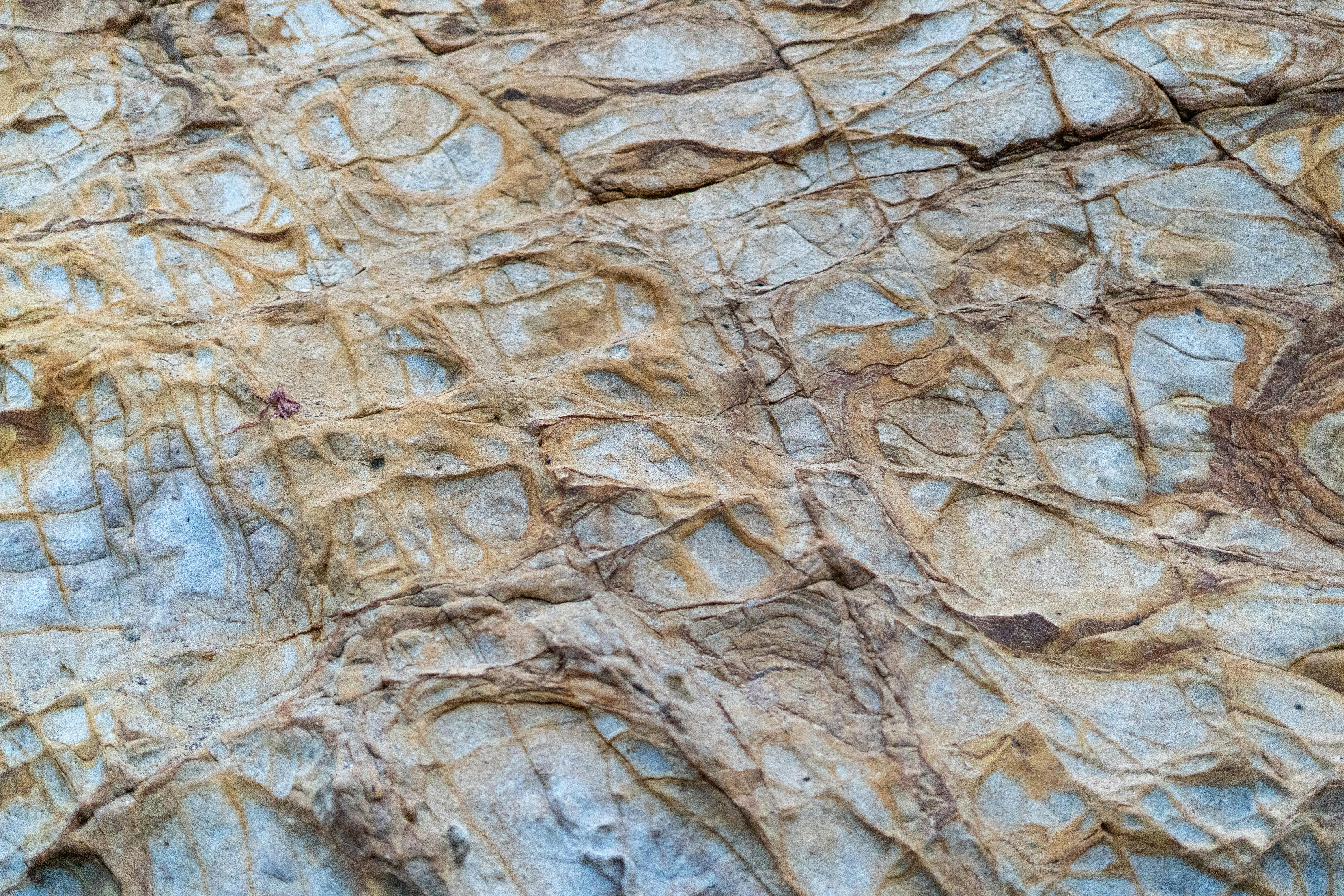 Ground Strata Photos, Download The BEST Free Ground Strata Stock Photos ...