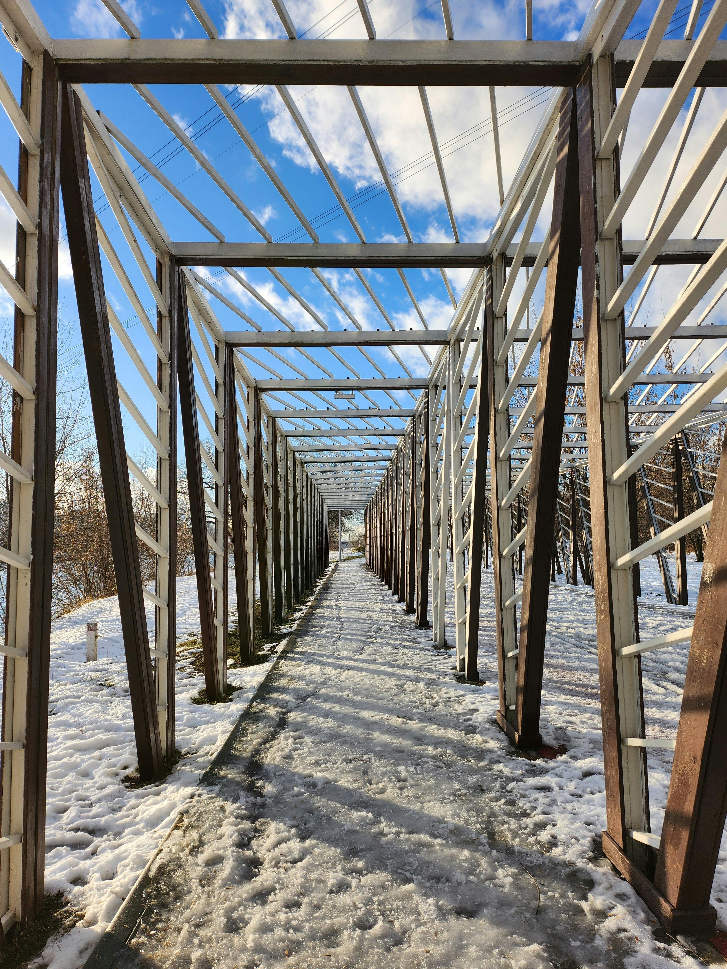 Symmetrical Winter Walkway in Park Setting · Free Stock Photo