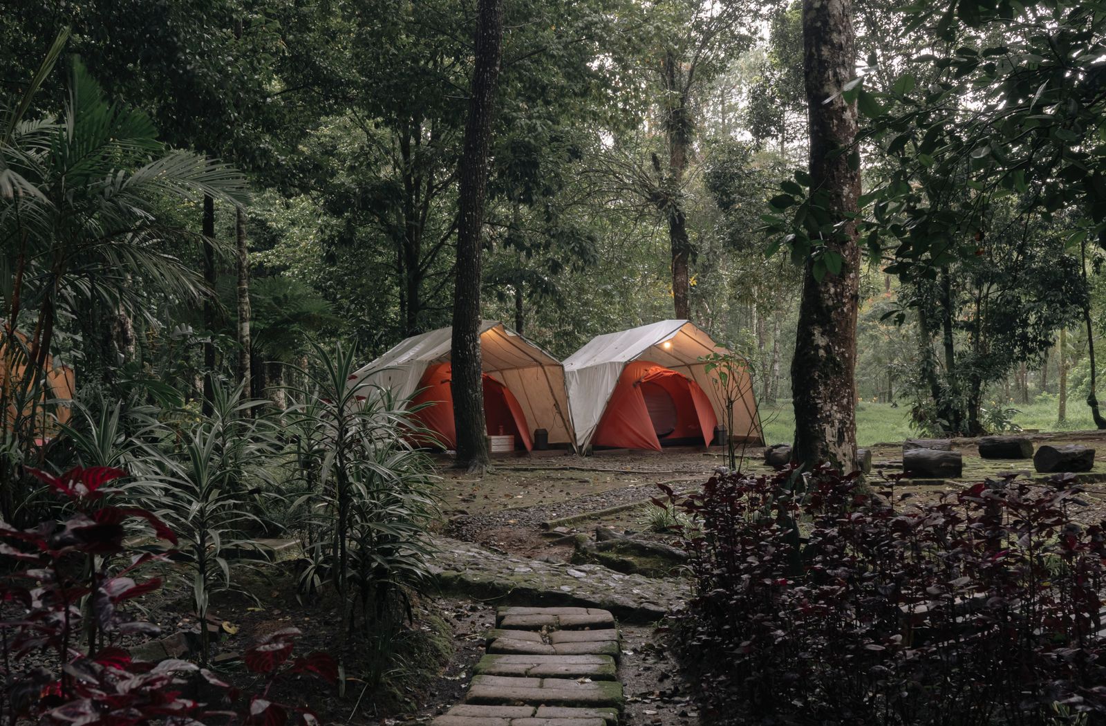 Camping Images Photos, Download The BEST Free Camping Images Stock ...