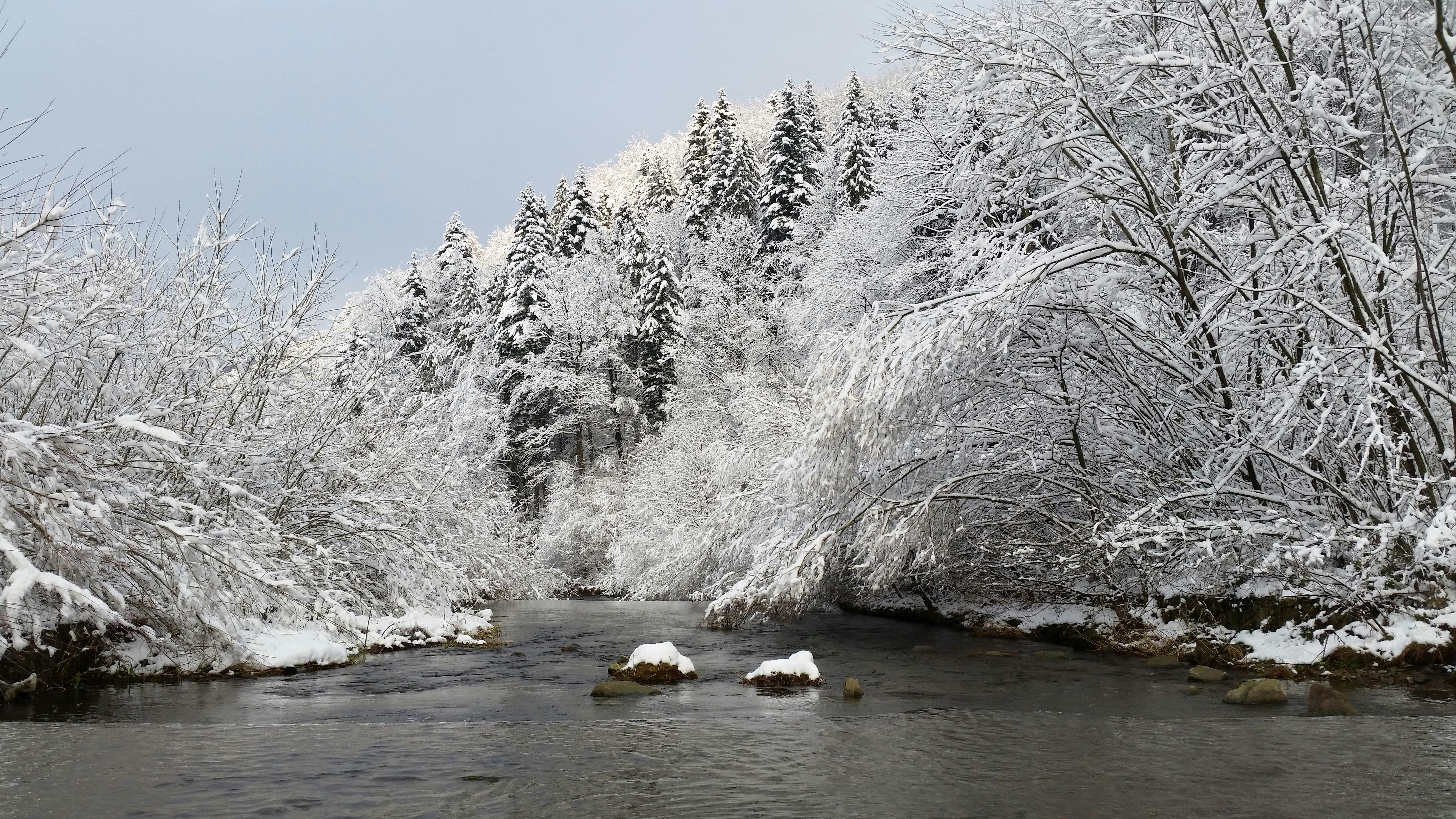 Snow-Covered Mountain Stream in Winter Landscape · Free Stock Photo