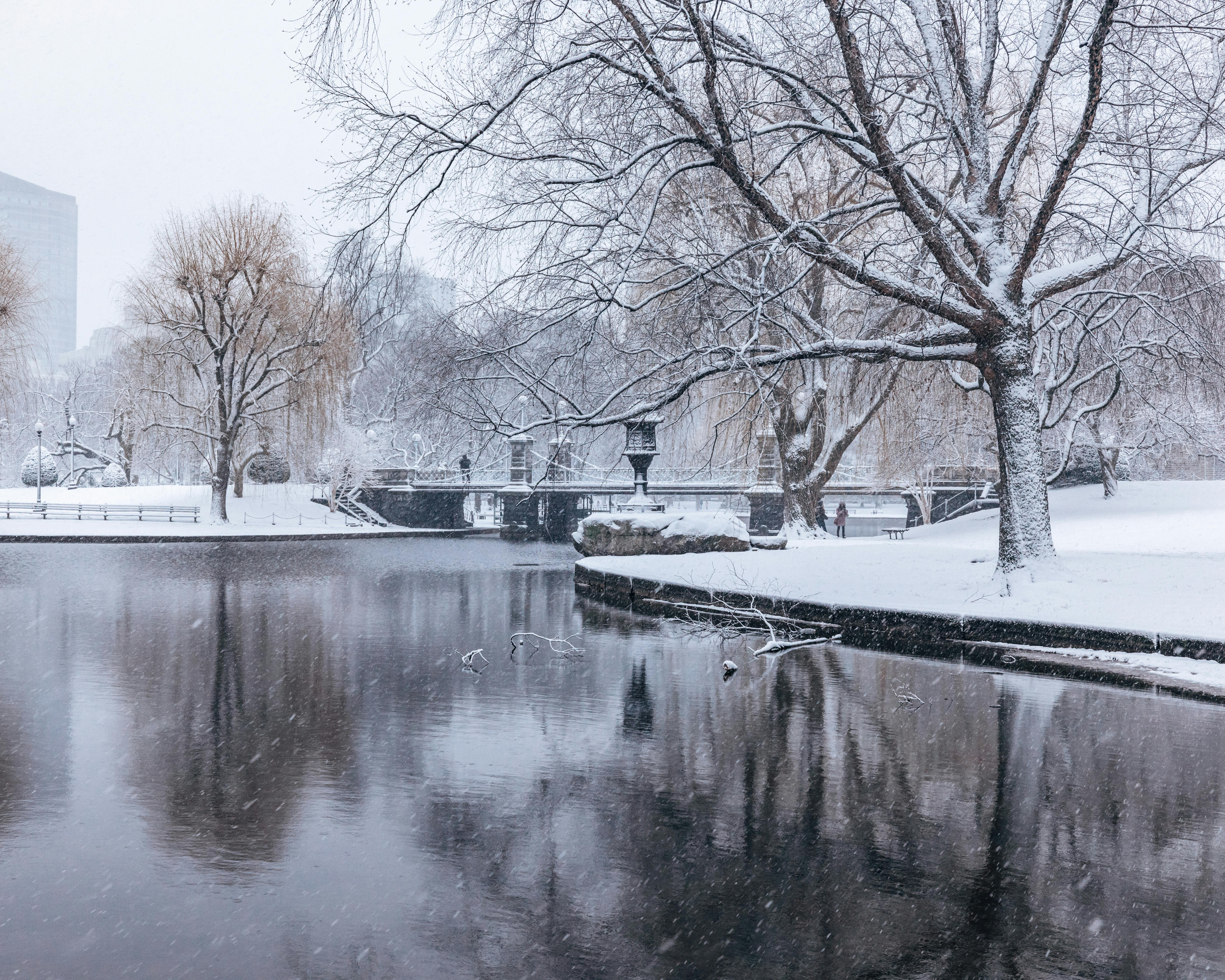 Snowy Winter Scene in Boston Public Garden · Free Stock Photo