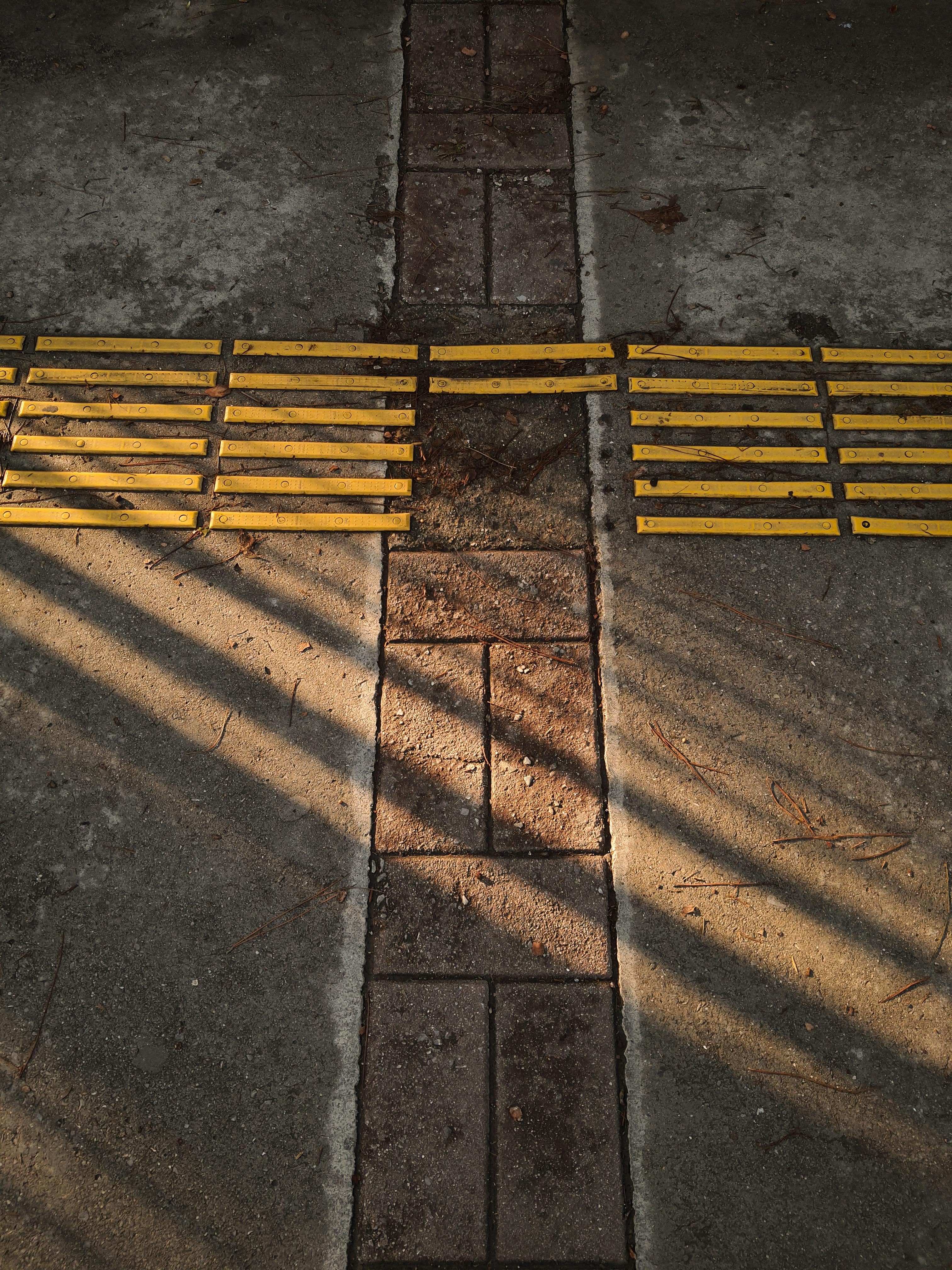 Sunlit Pavement with Yellow Road Markings · Free Stock Photo