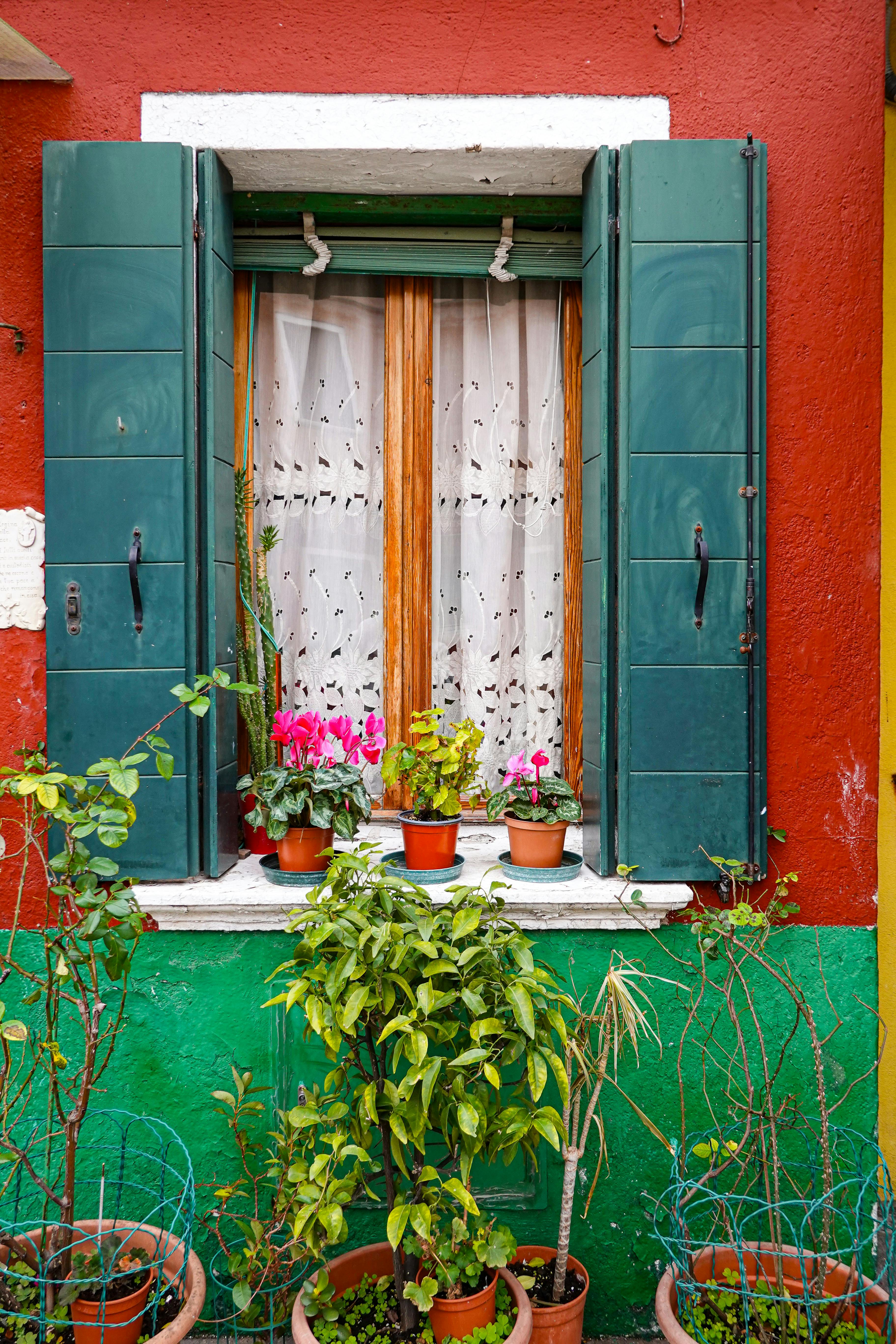 Colorful Window with Green Shutters and Plants · Free Stock Photo