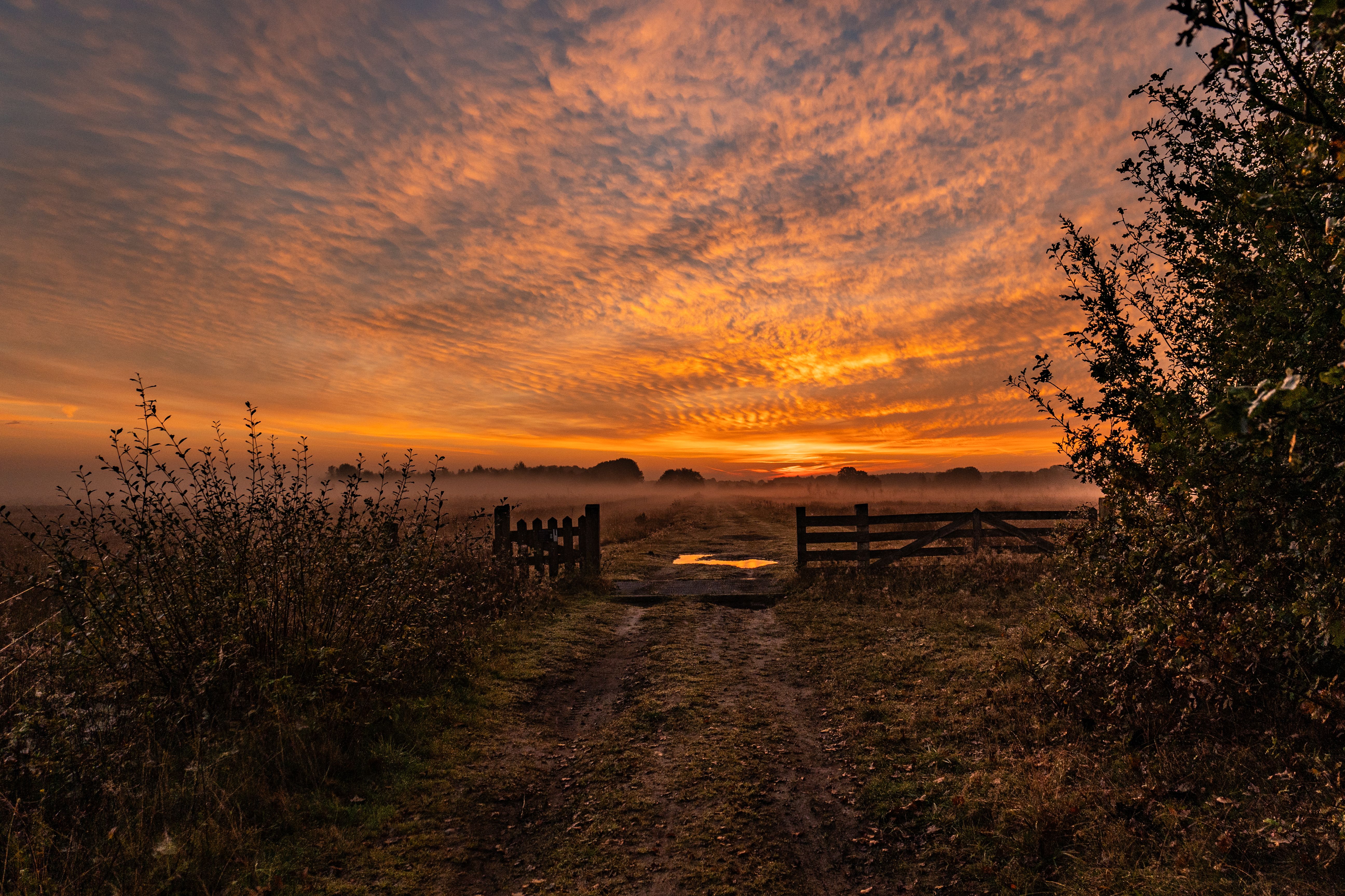 Stunning Drenthe Sunset Over Rural Landscape · Free Stock Photo