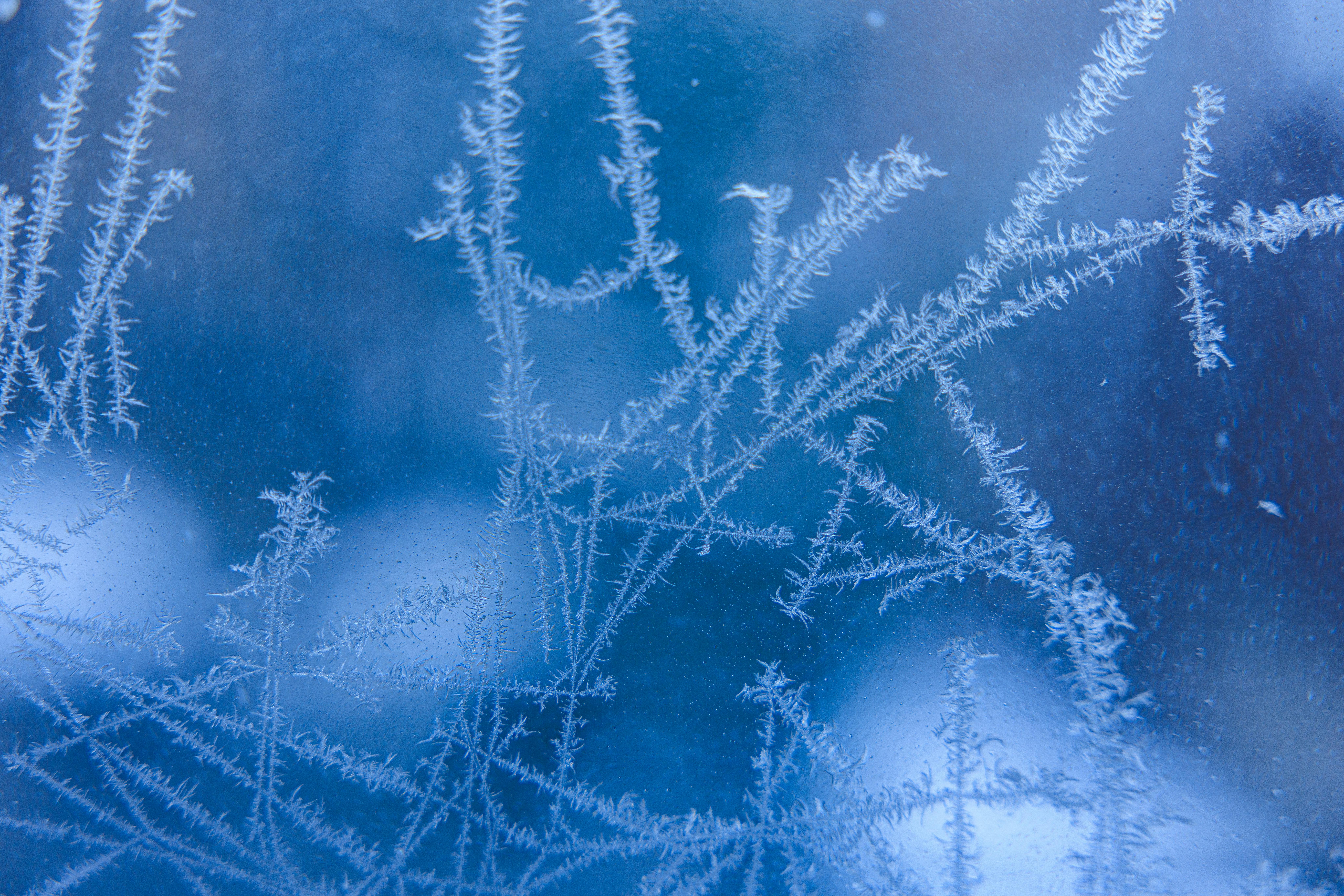 Close-up of Winter Frost Patterns on Glass · Free Stock Photo