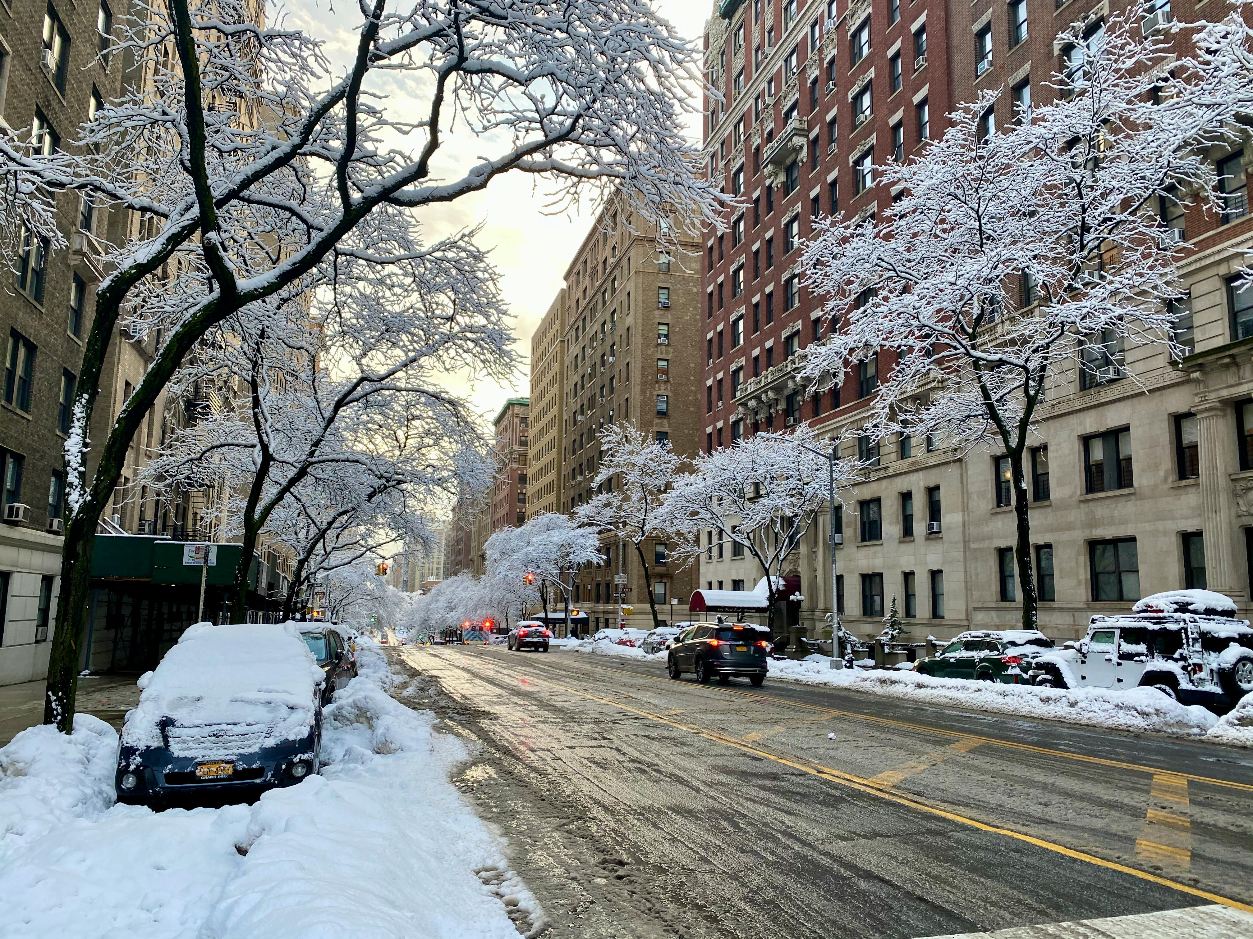 Snow-Covered Urban Street in Winter · Free Stock Photo