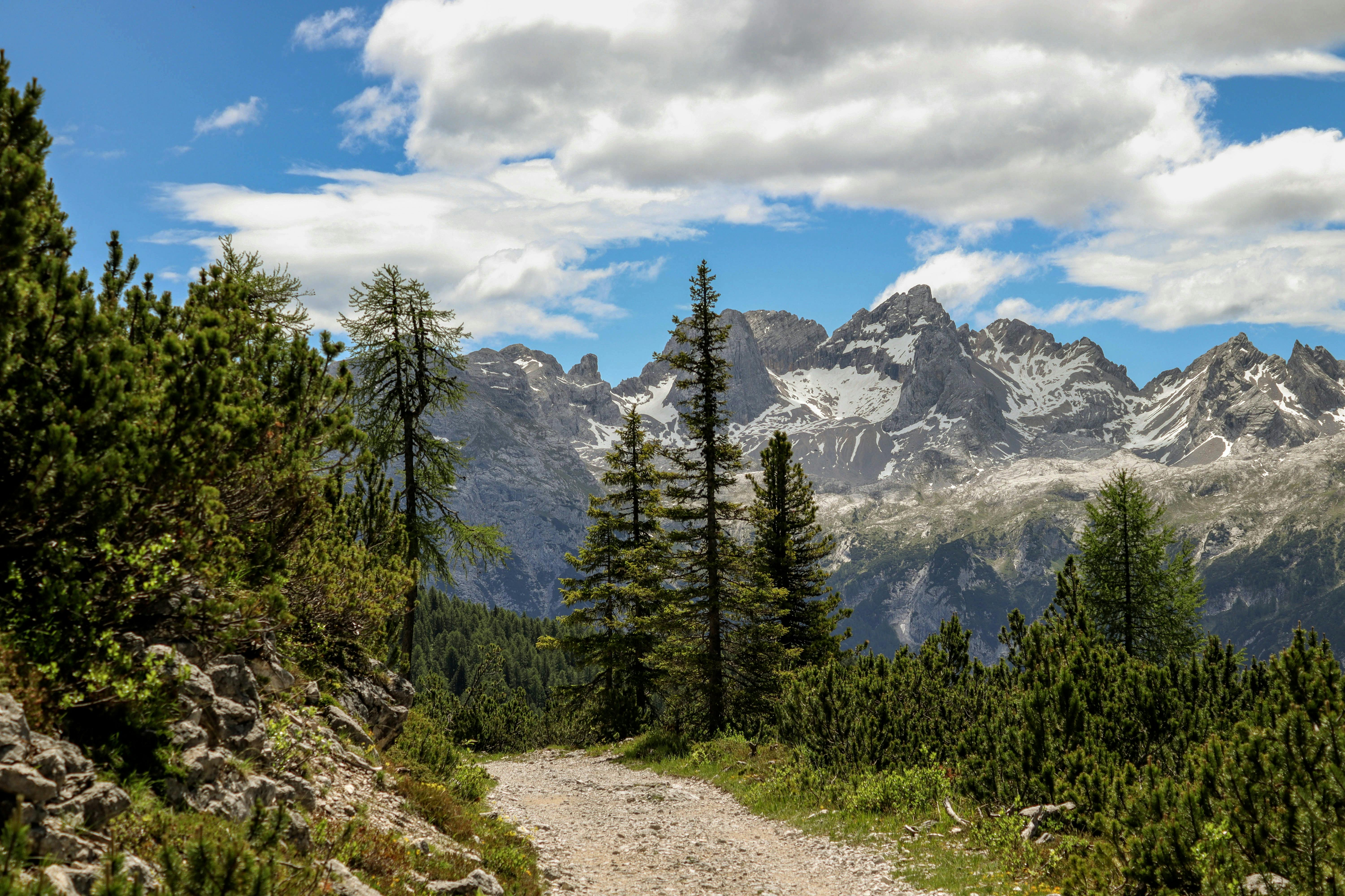 Scenic Mountain Trail in the Alps with Clear Sky · Free Stock Photo