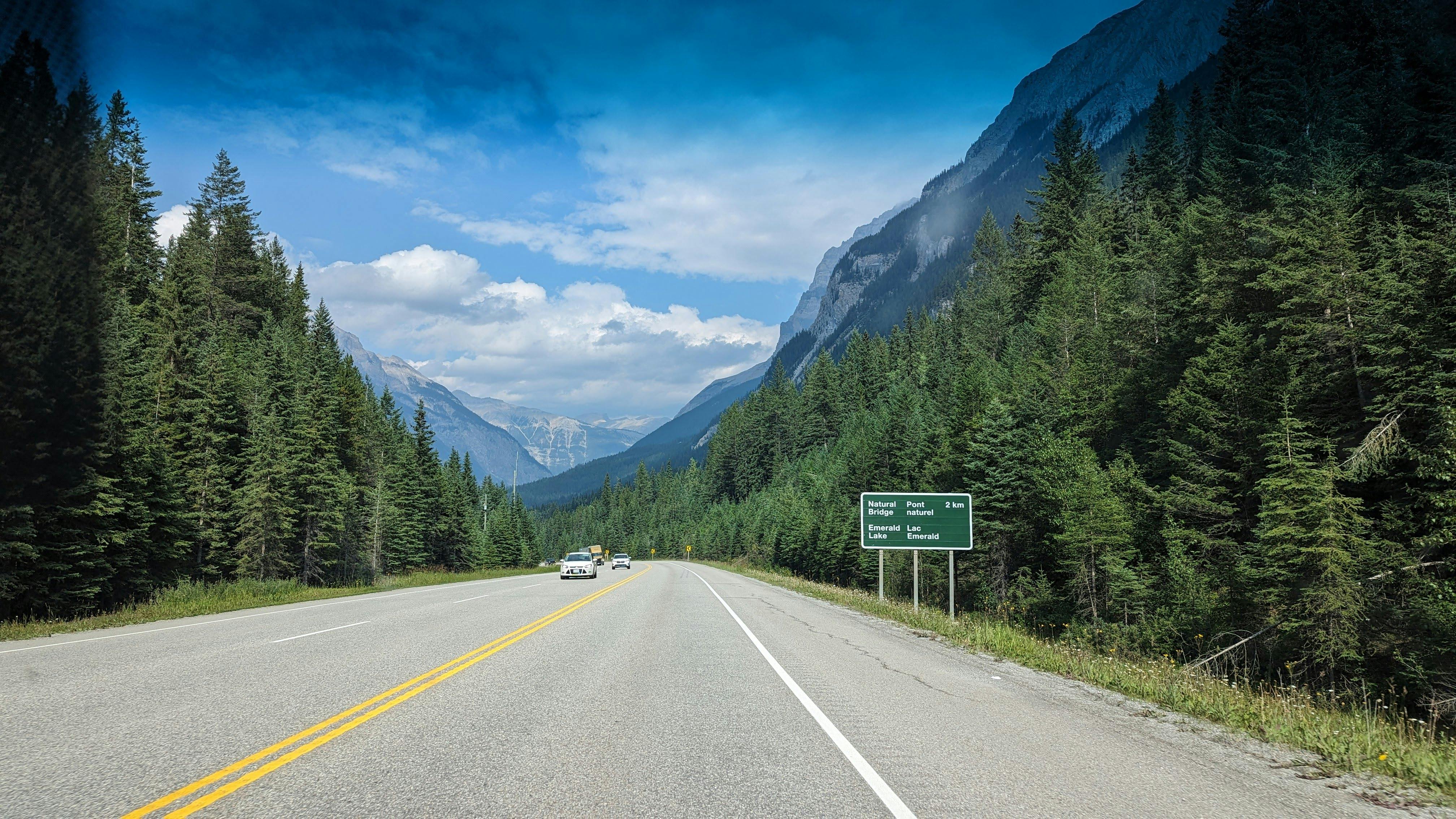Scenic Drive through British Columbia Forest · Free Stock Photo
