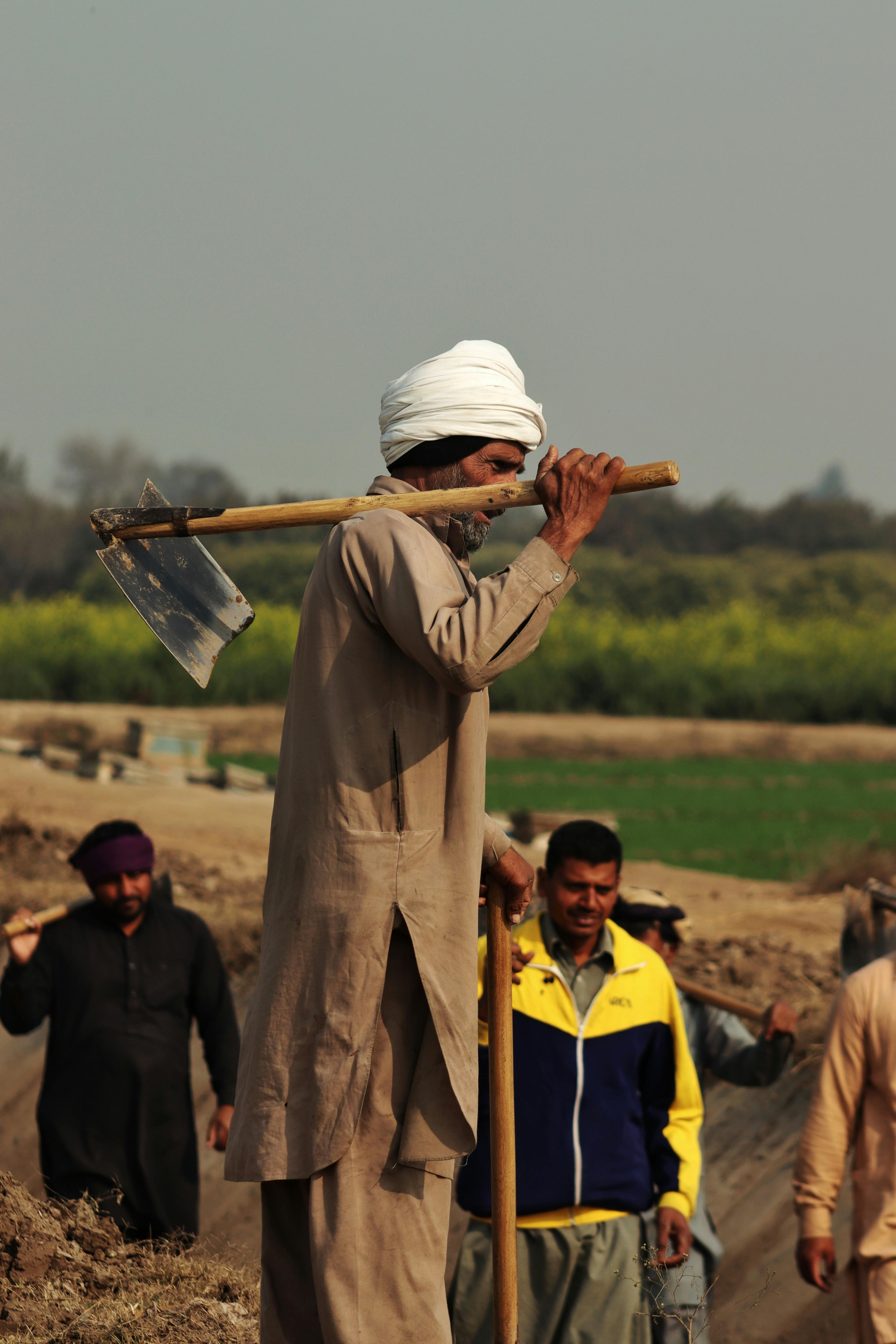 Traditional Farming Scene in Rural Pakistan · Free Stock Photo