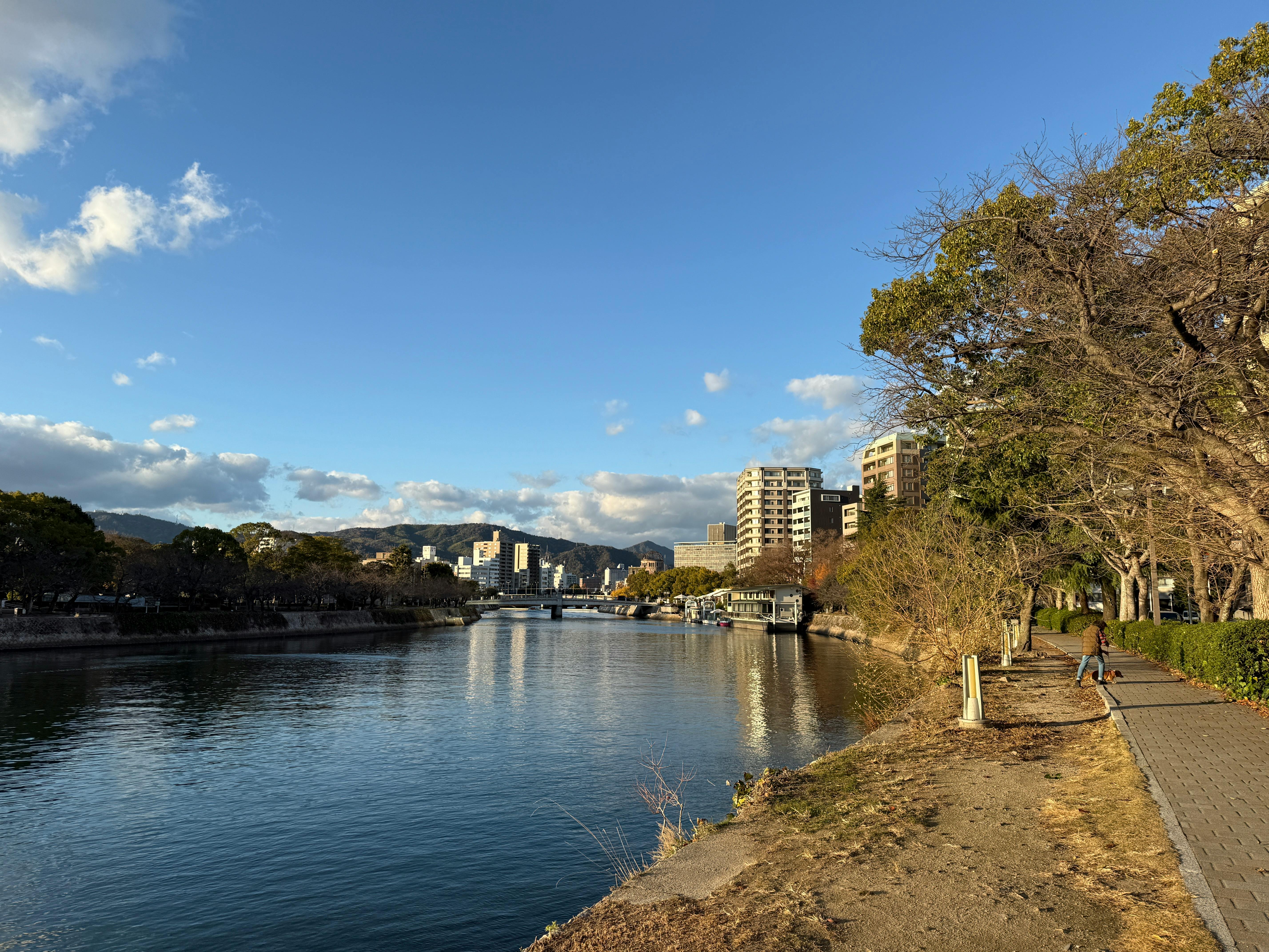 Serene Urban Riverside with Cityscape View · Free Stock Photo