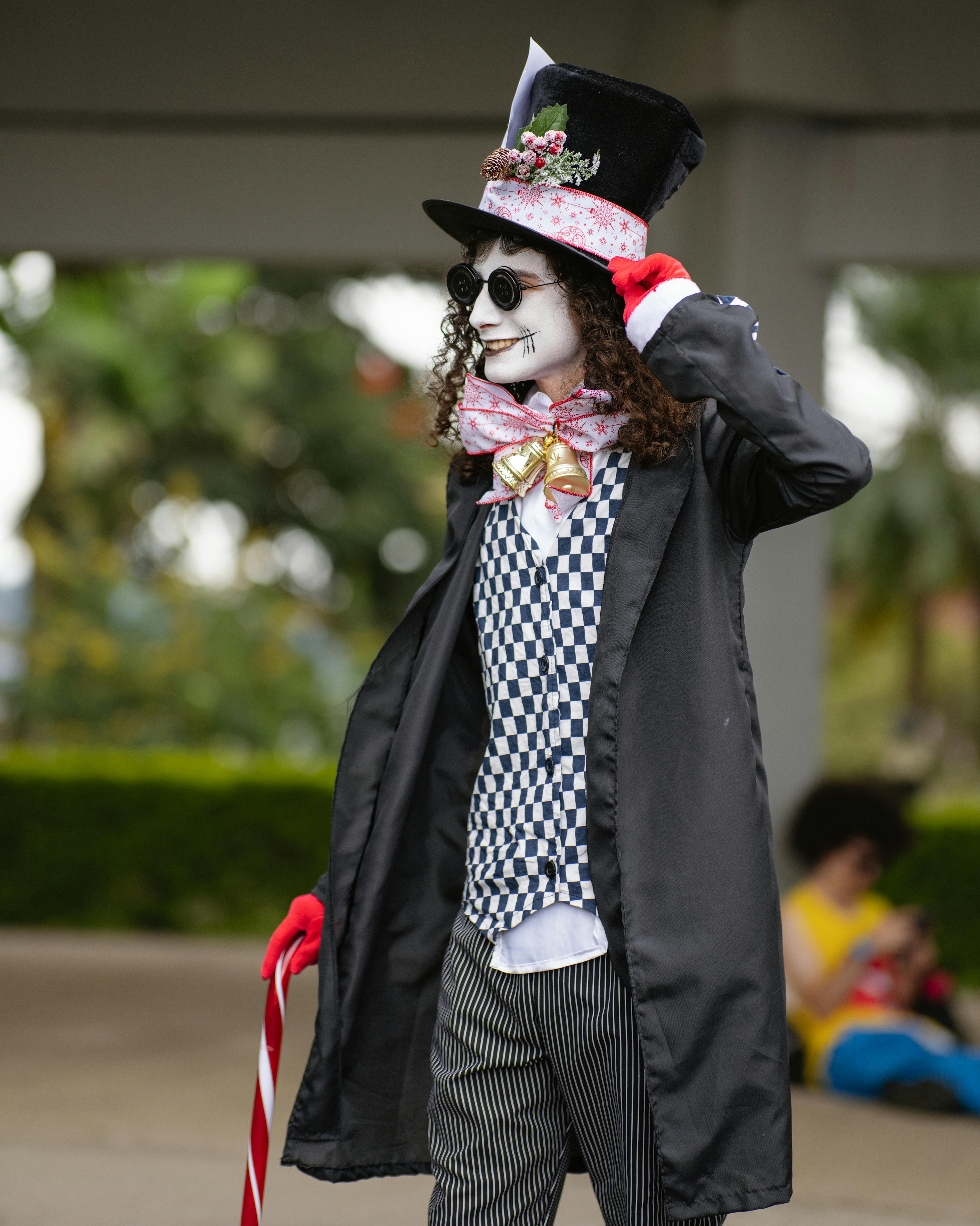 Cane Costa Photos, Download The BEST Free Cane Costa Stock Photos & HD ...