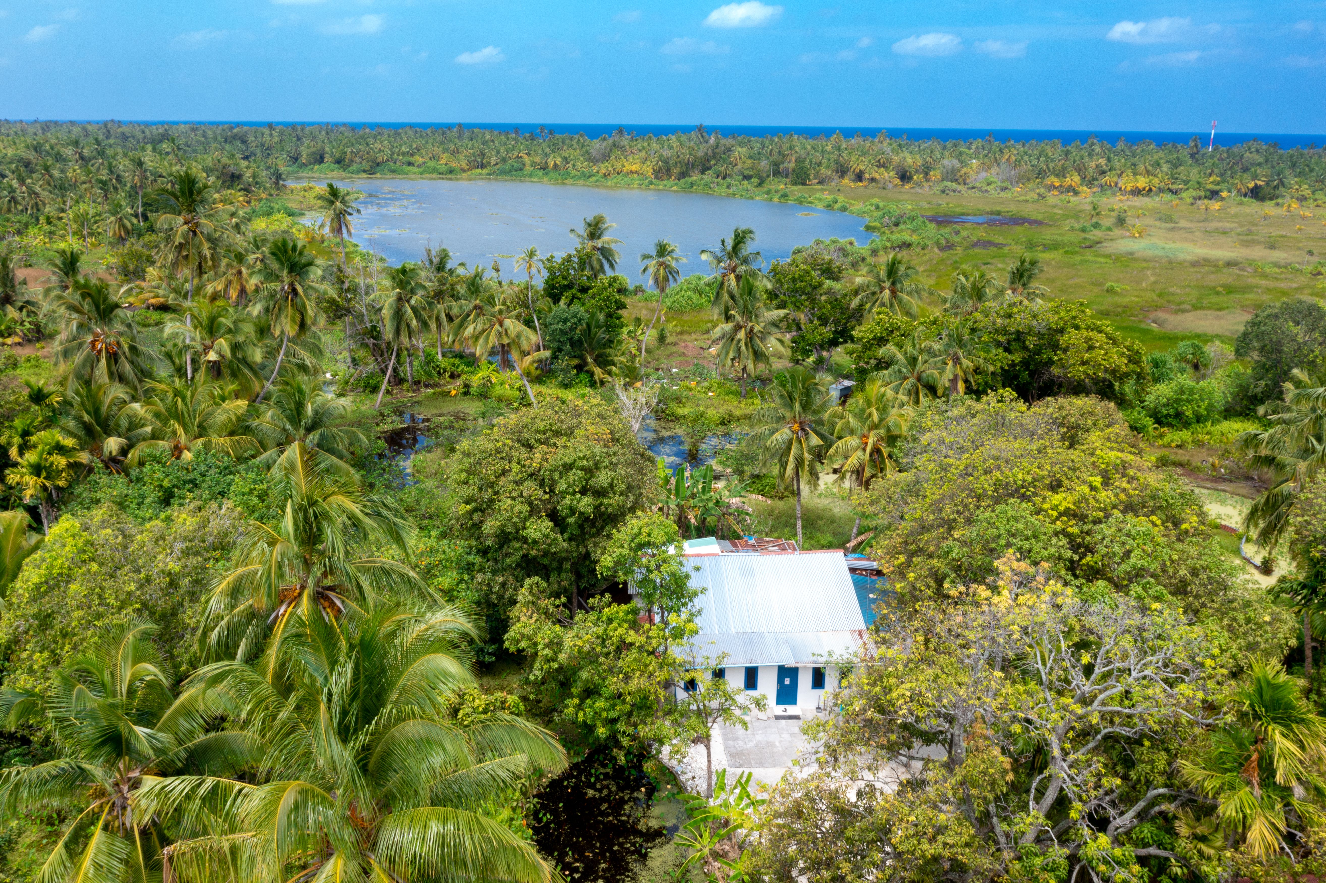Aerial View of Tropical Landscape with Palm Trees · Free Stock Photo