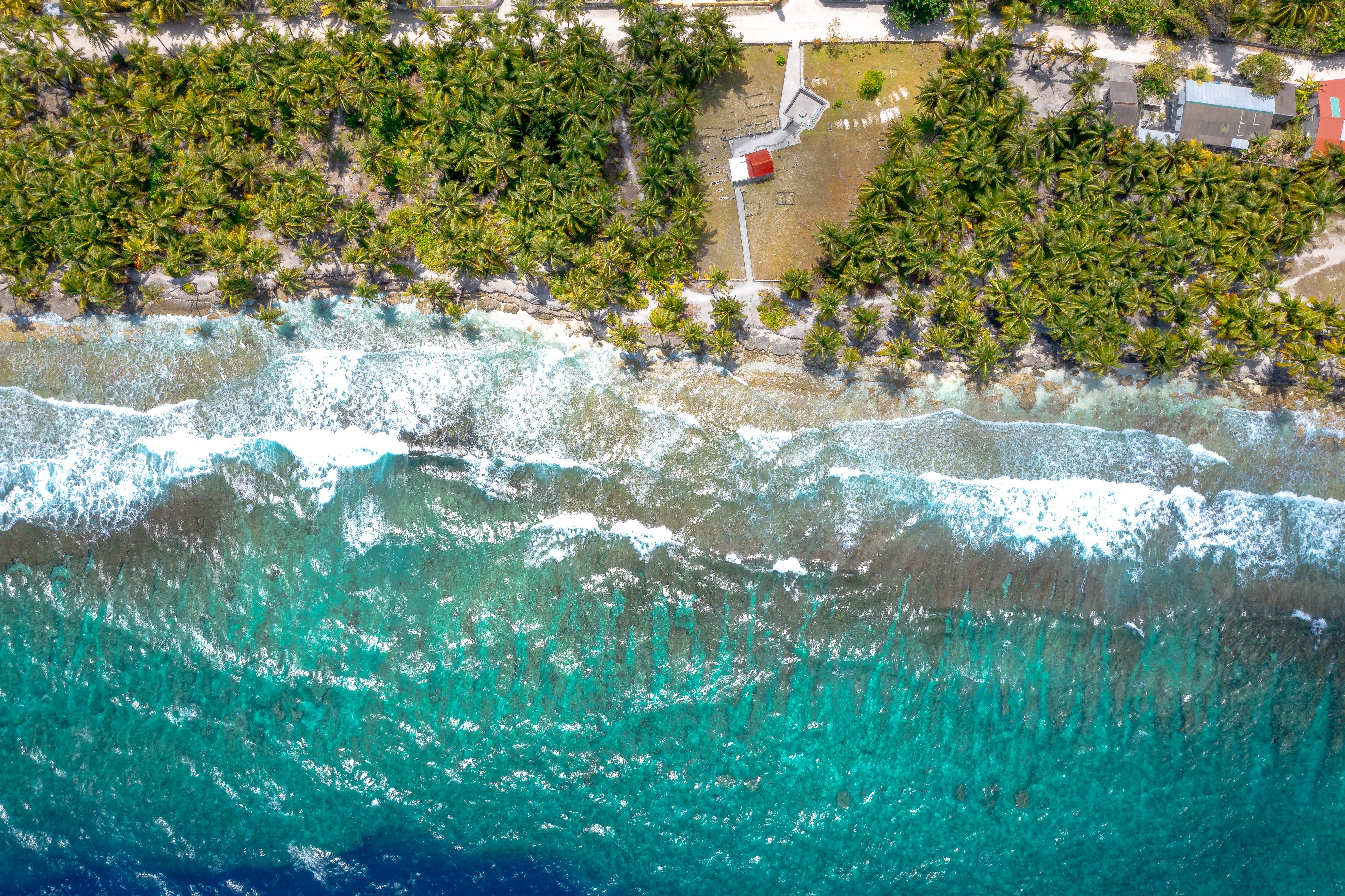 Aerial View of Tropical Beach with Palm Trees · Free Stock Photo