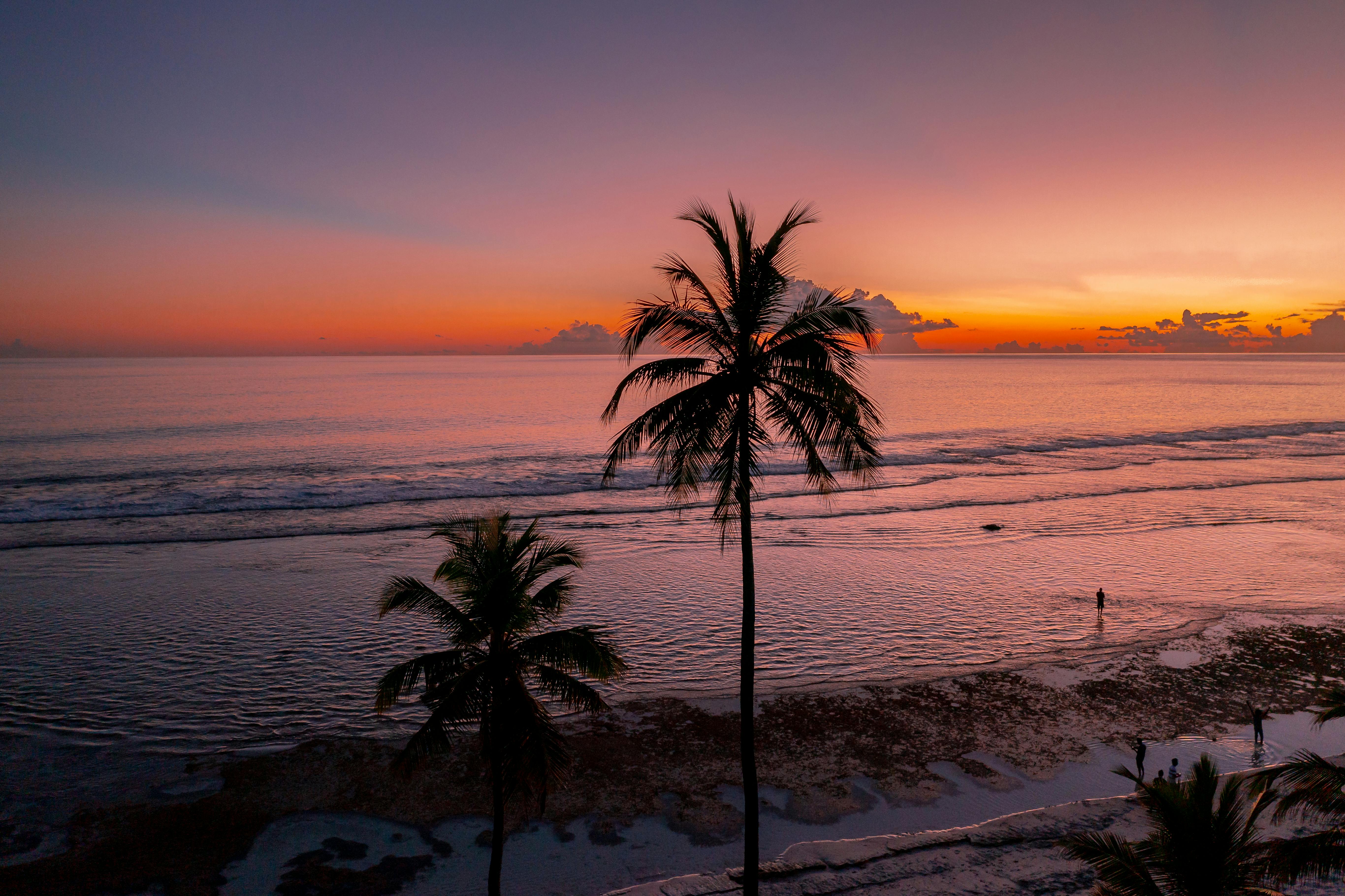 Tropical Sunset Over Remote Palm Beach · Free Stock Photo