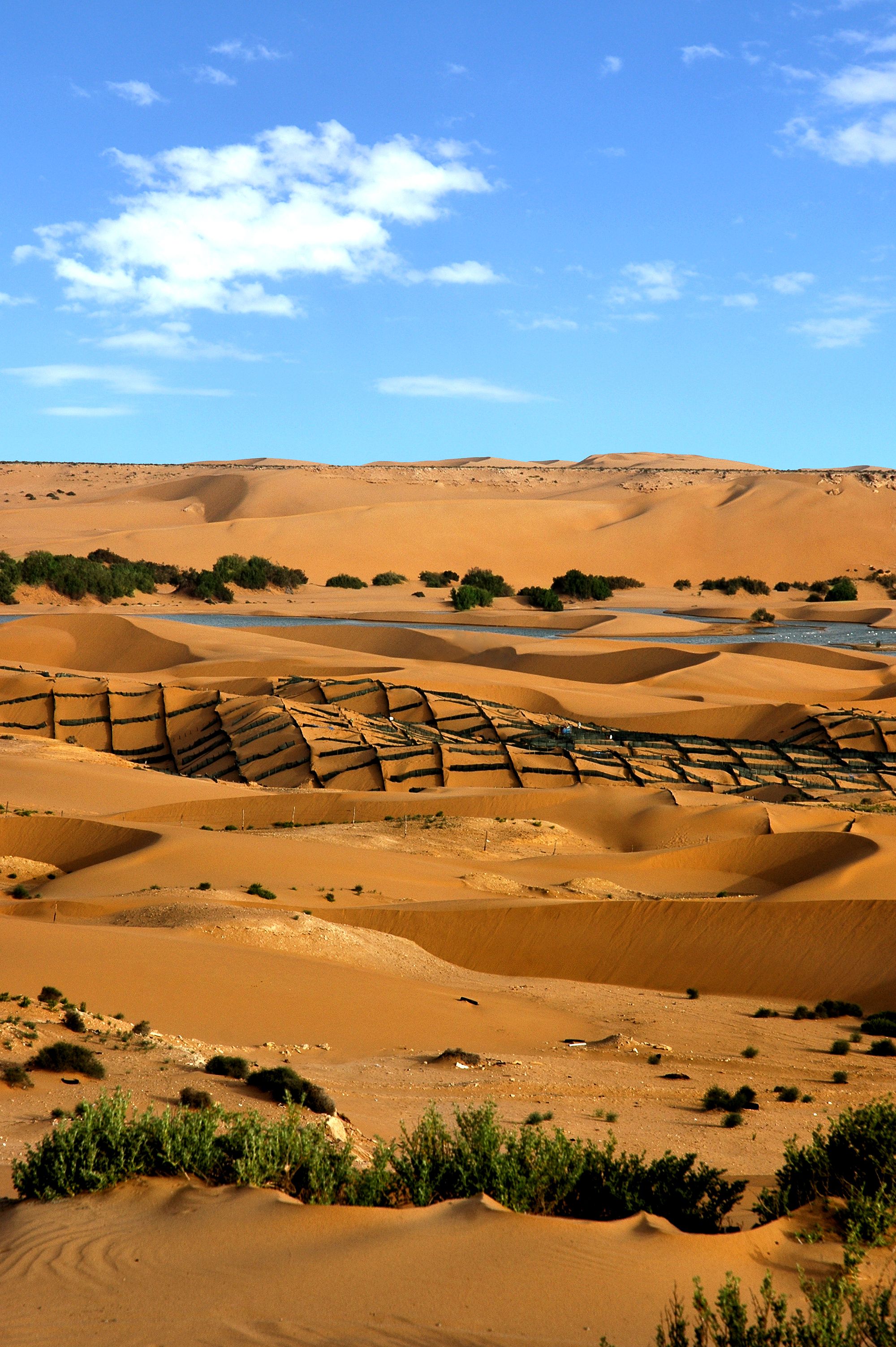 Stunning Sand Dunes in Saharan Desert Under Blue Sky · Free Stock Photo