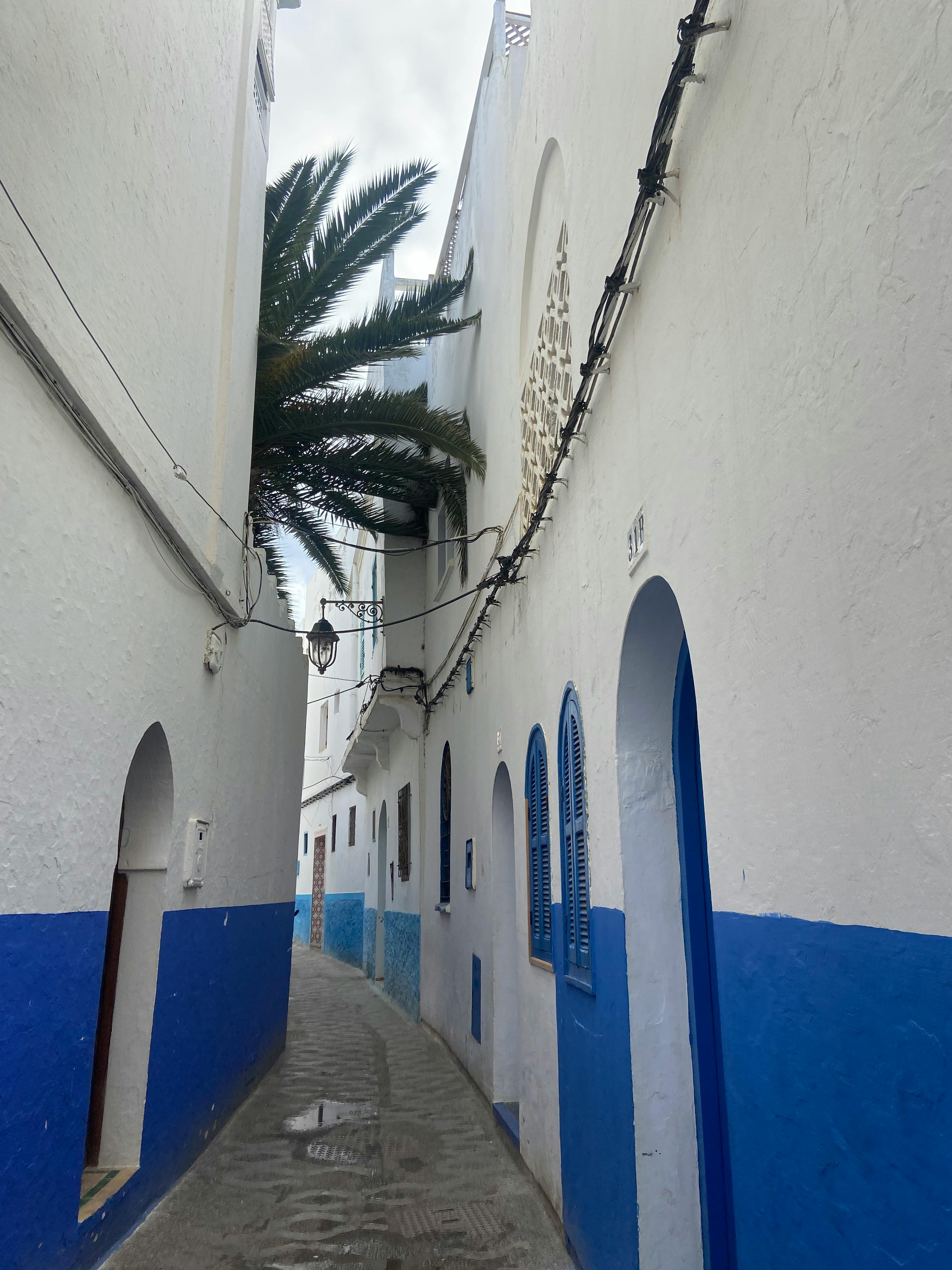 Charming Blue and White Alleyway in Artistic Style · Free Stock Photo
