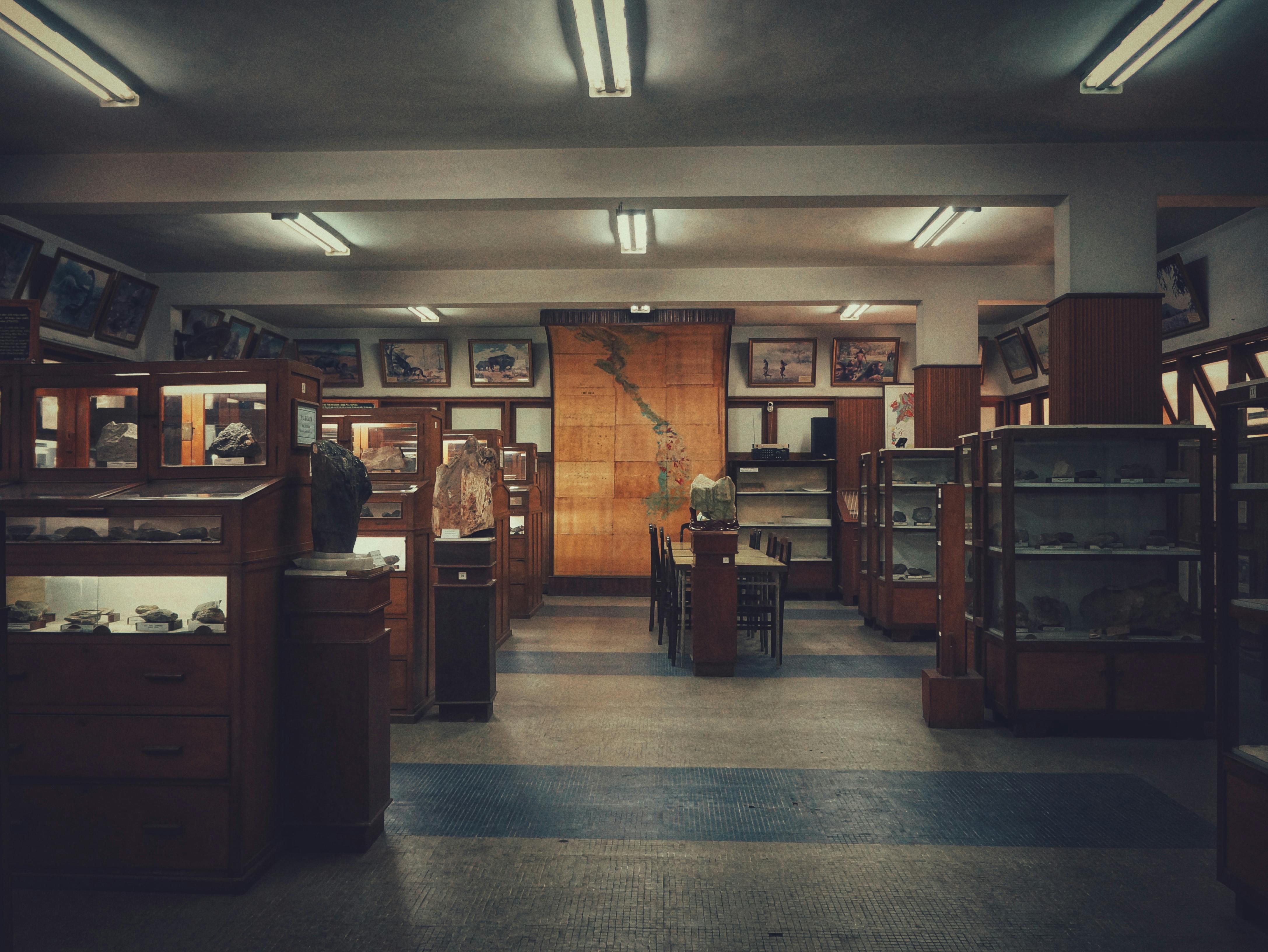 Vintage Museum Interior with Wooden Display Cases · Free Stock Photo
