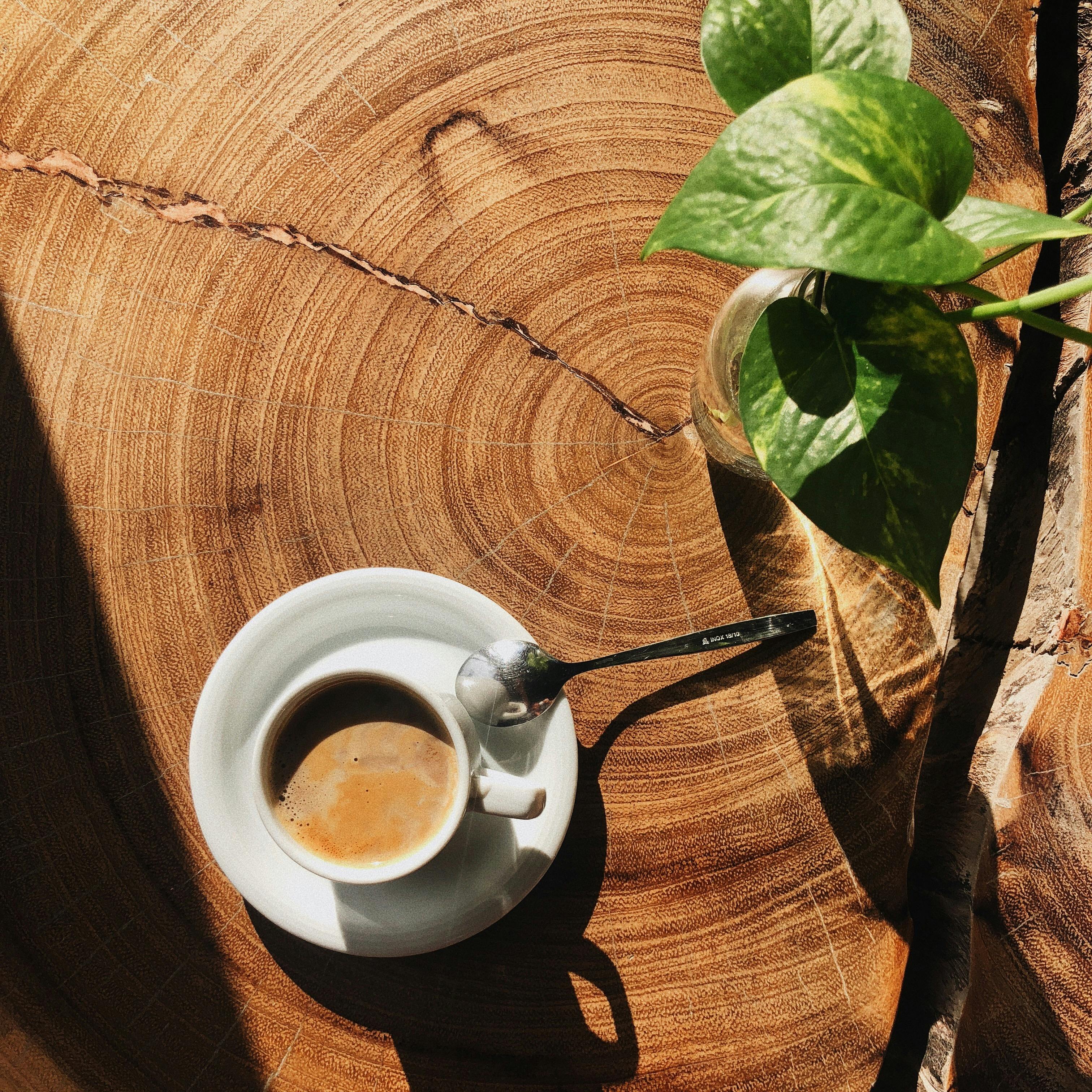 Entrenamiento De Pothos Photos, Download The BEST Free Entrenamiento De ...