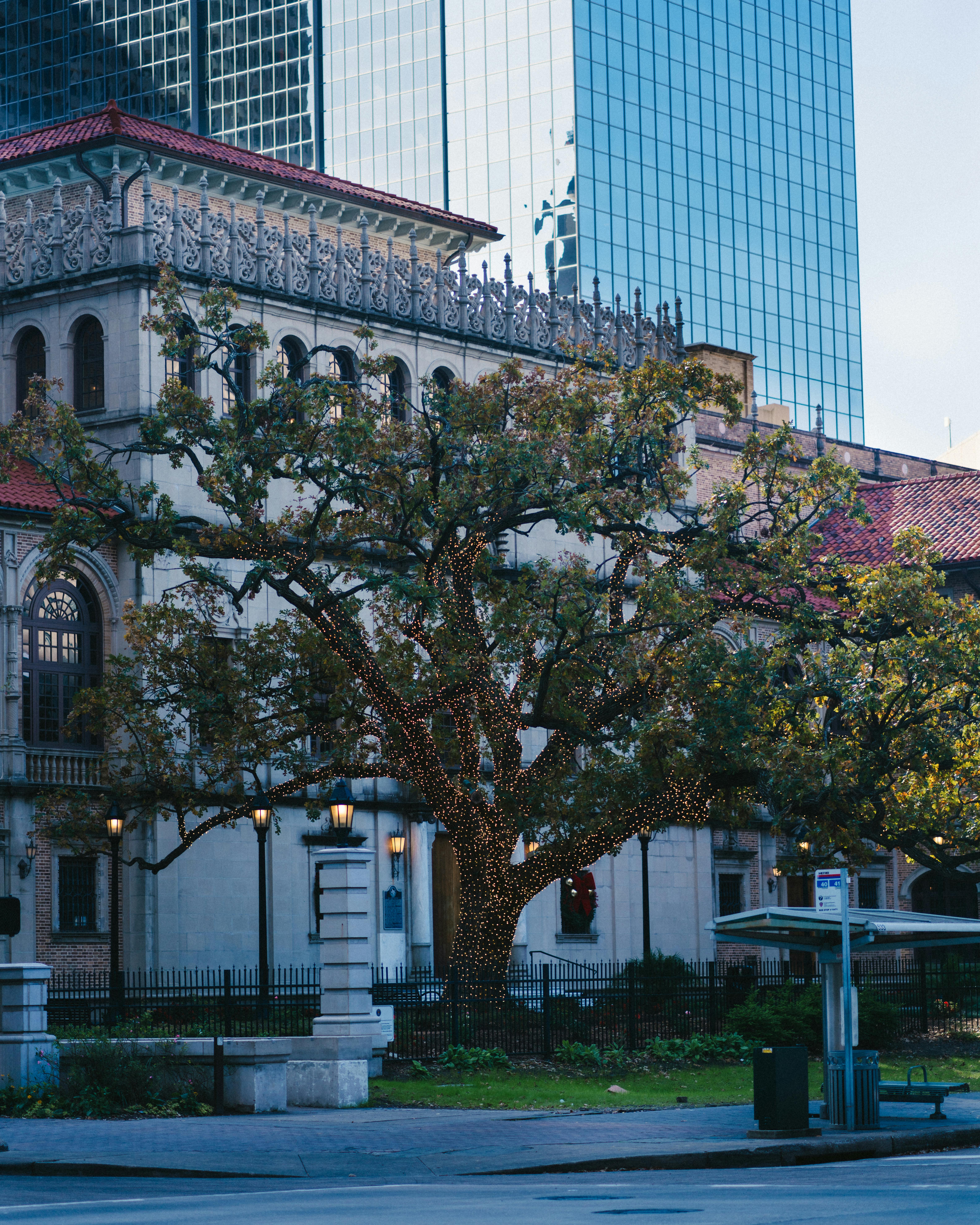 Houston Central Library with Festive Tree Lights · Free Stock Photo